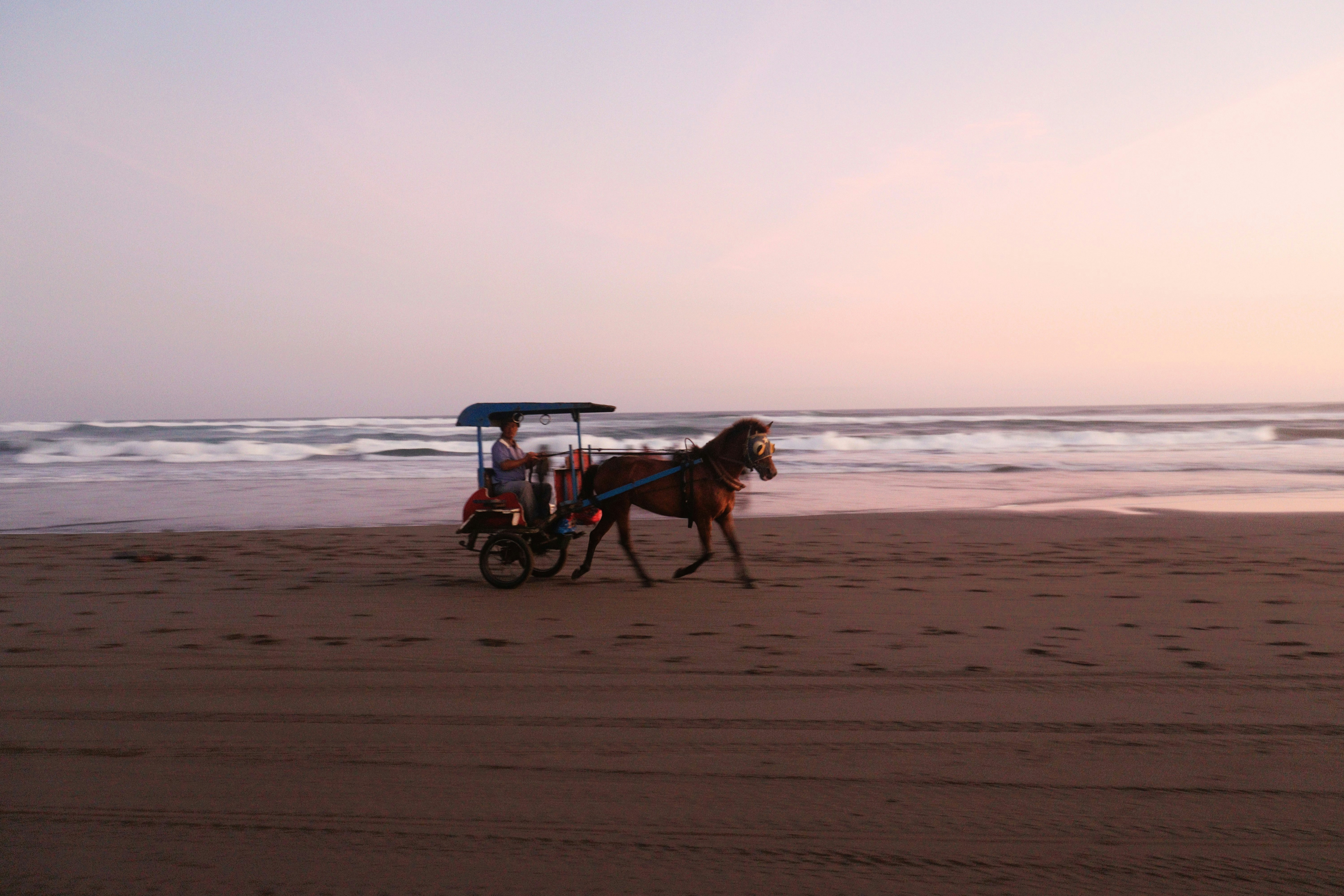 Dune-side Carriage: A Horse-Drawn Ride at Dusk