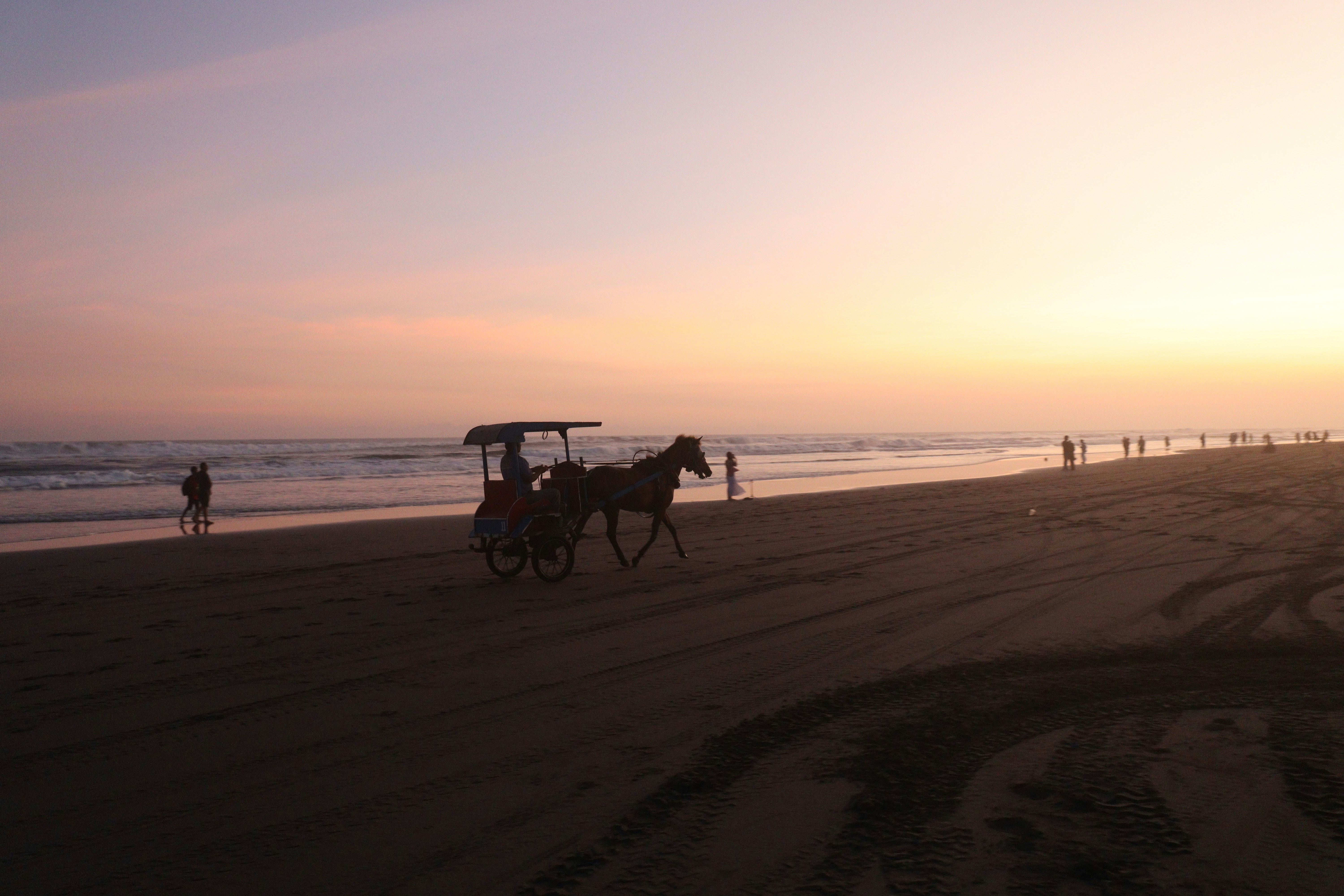 Shade of Dusk: Horse-drawn Carriage on a Quiet Beach at Sunset