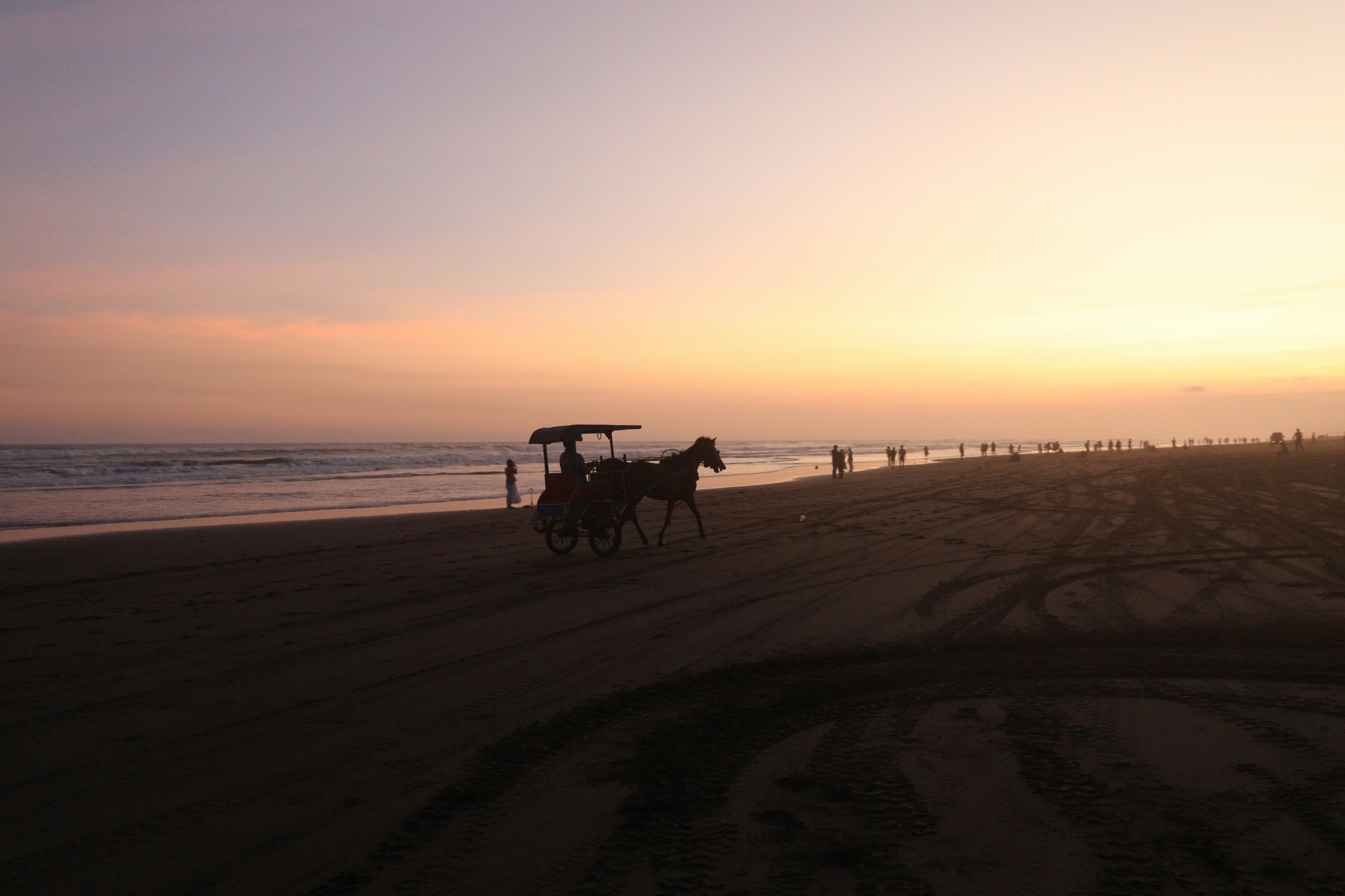 Sunset Ride: A Horse-Drawn Carriage Skims the Quiet Shore