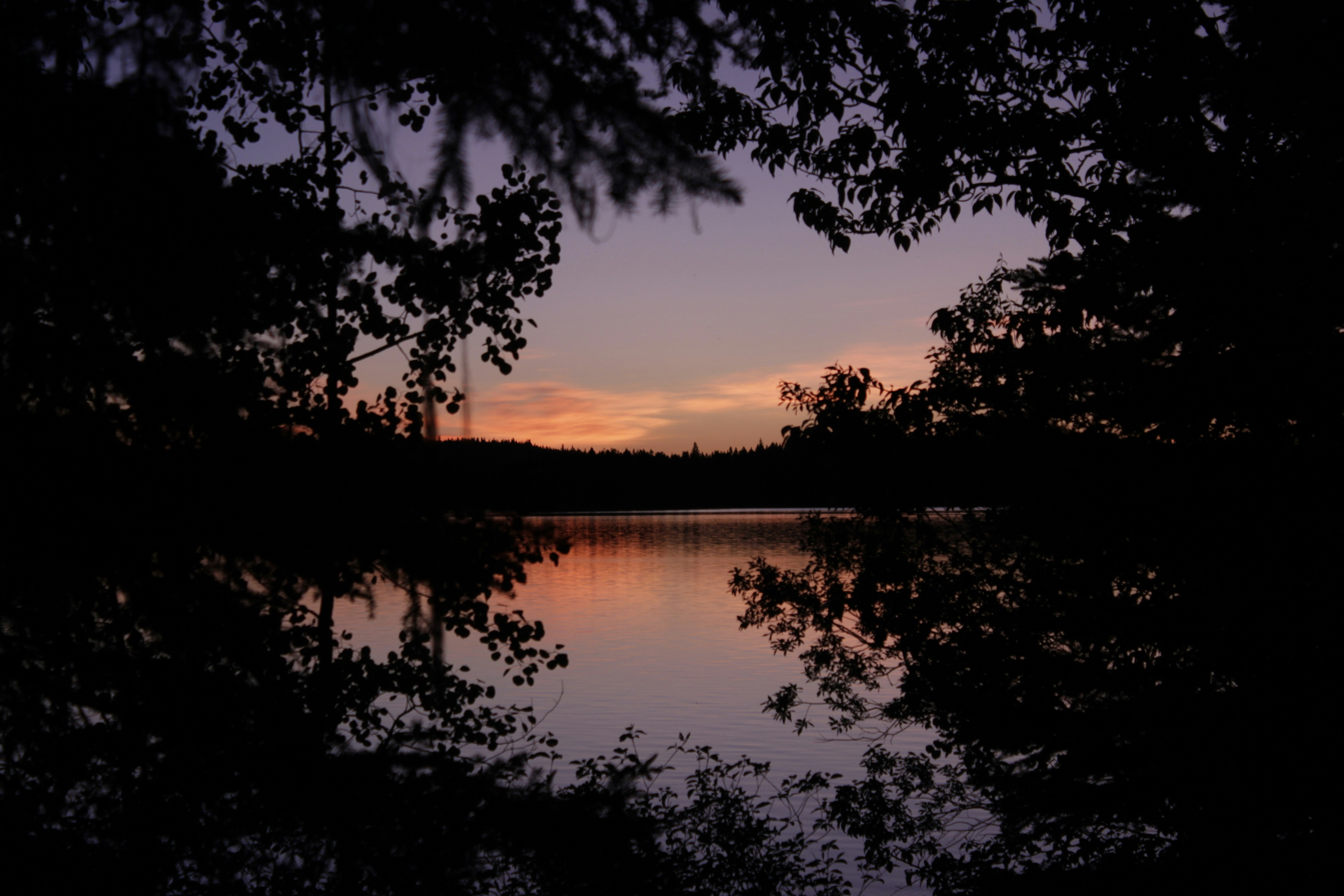 Silhouetted trees frame a tranquil lake at sunset, with warm reflections on the water and a soft gradient sky.