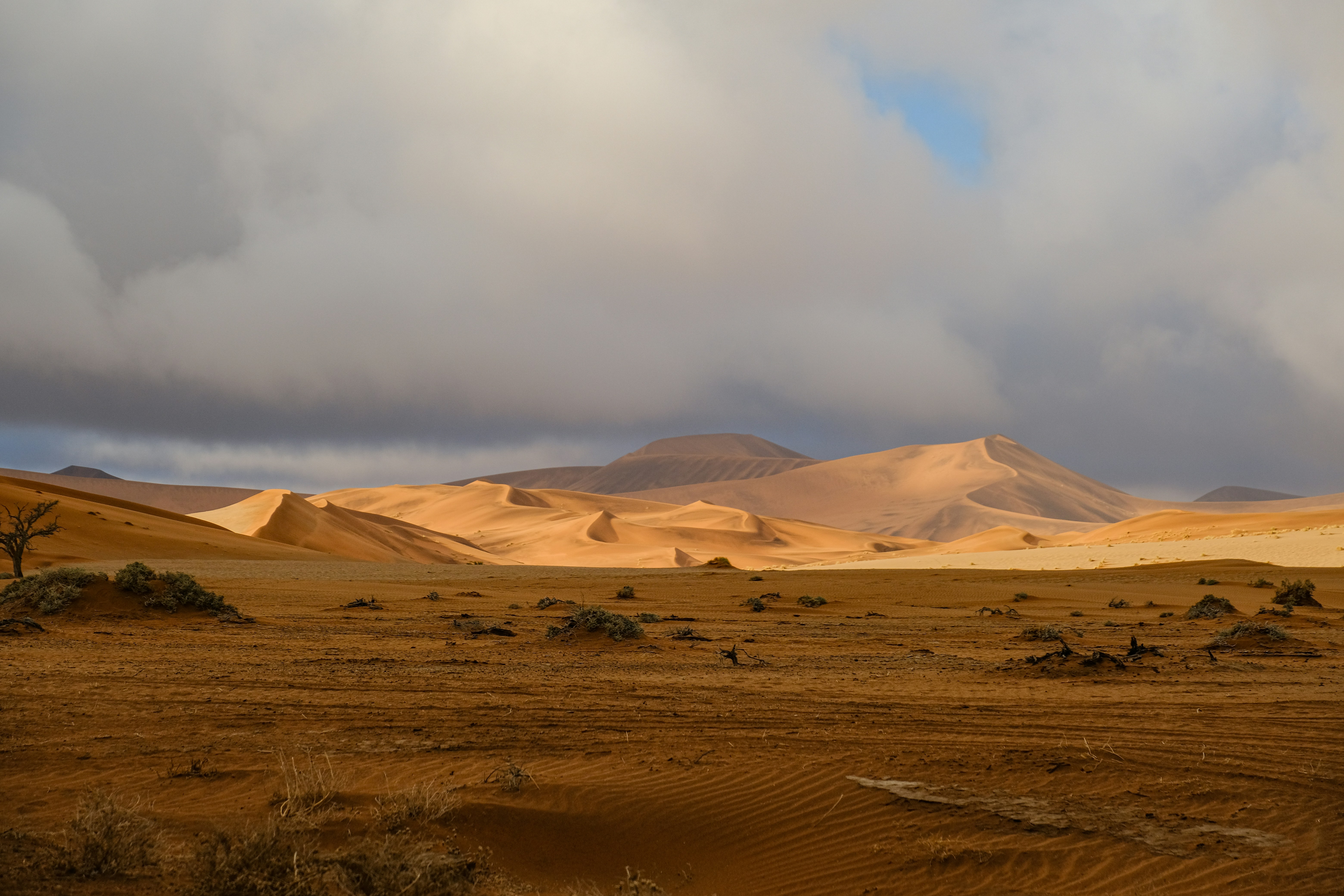 Dune Crest at Distant Horizon