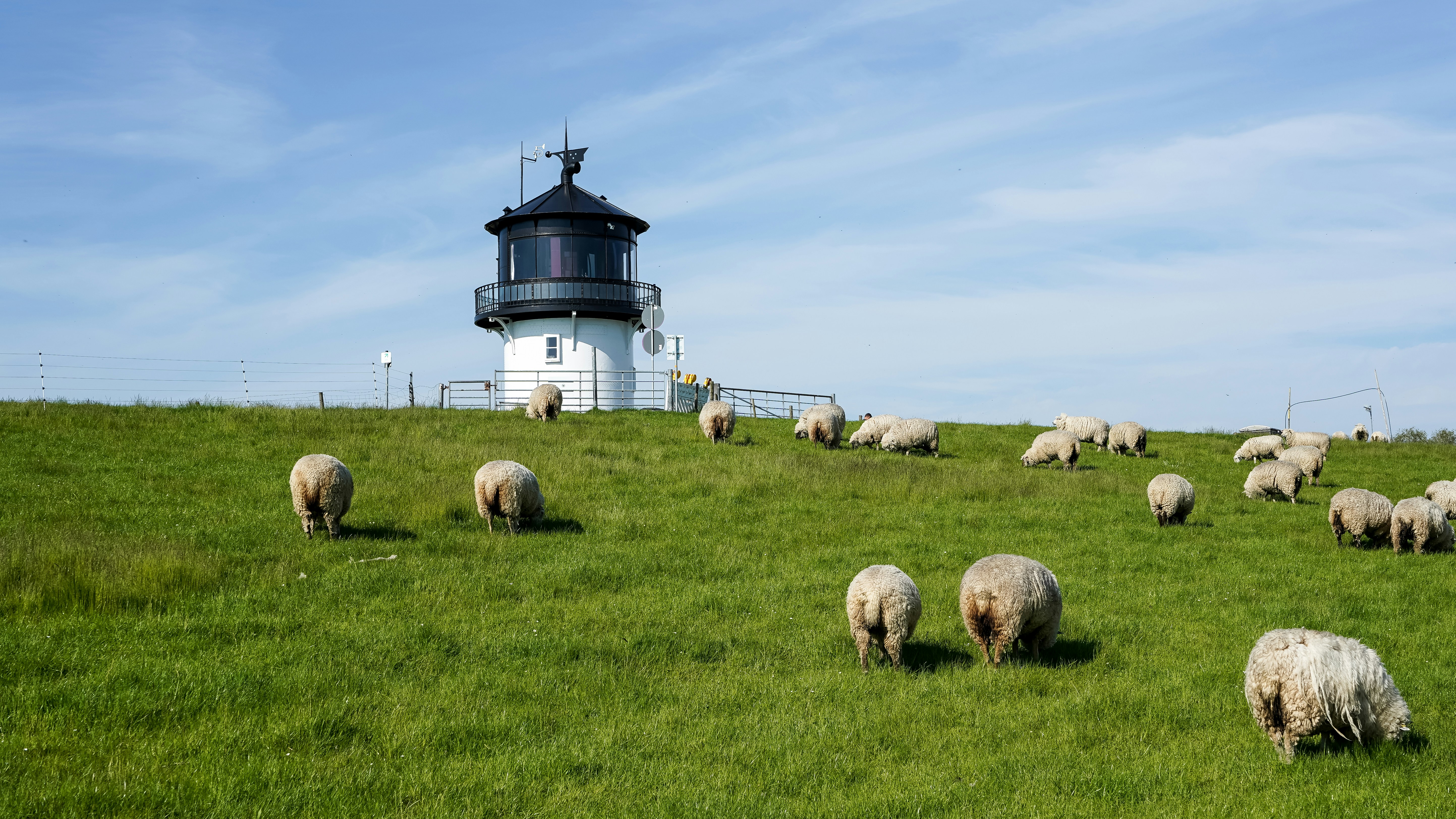 Pasture Sentinel: A Lone Lighthouse Over a Grazing Hill