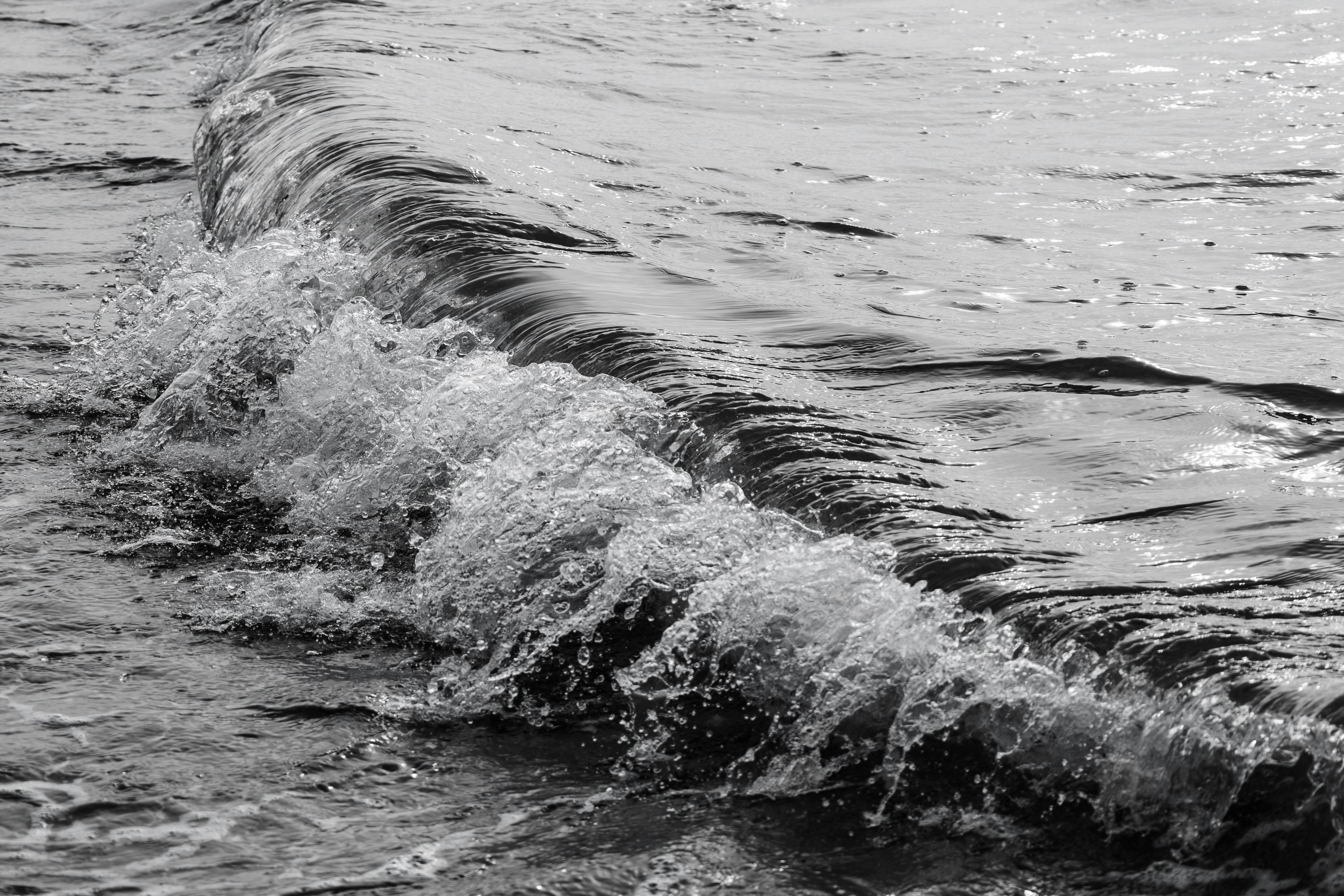 Monochrome Crest: A Breaker Rolling Toward the Shore
