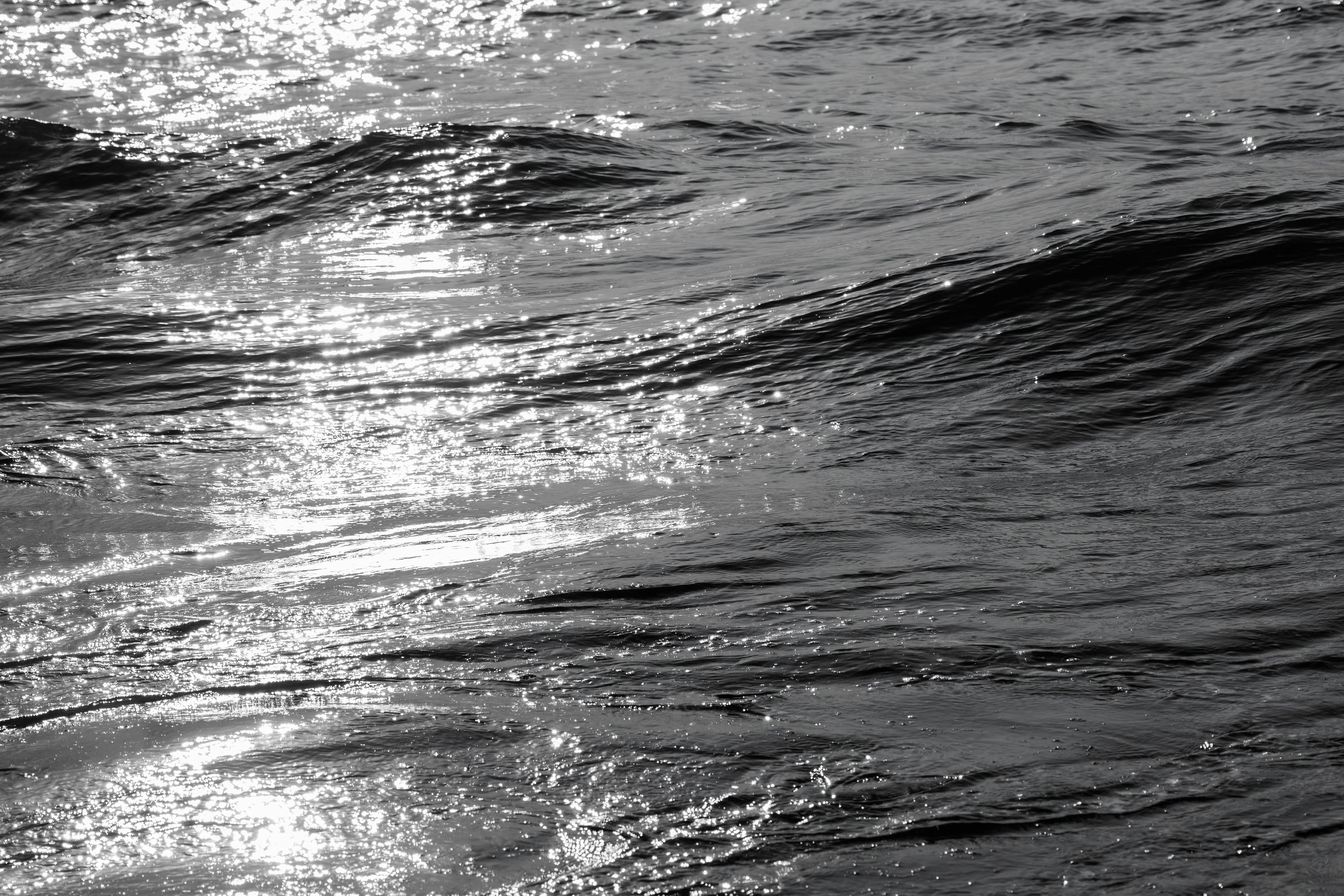 Glittering Tide: Sunlit Ripples on a Monochrome Sea