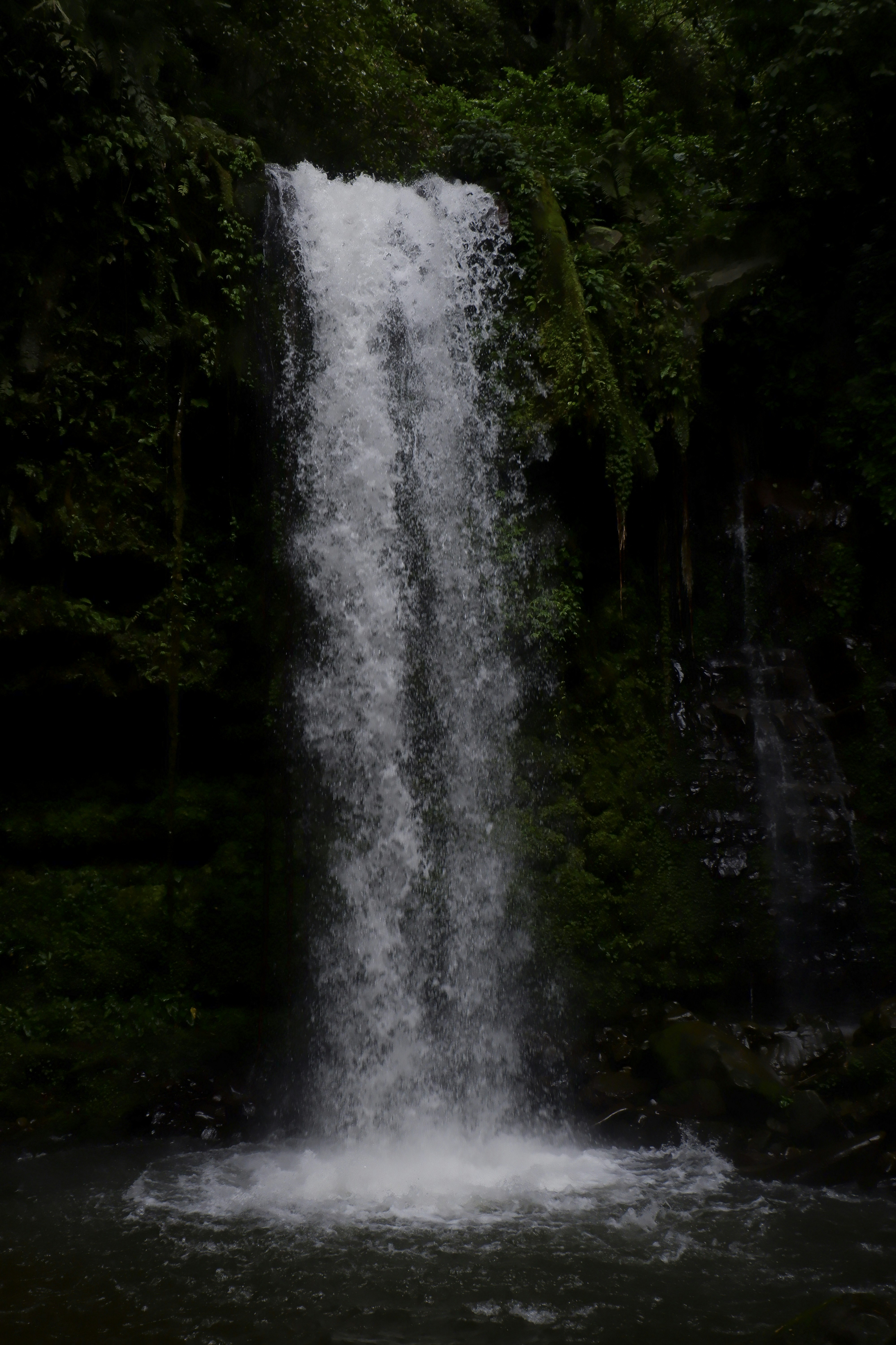 Midnight Cascade: a solitary waterfall carving through shadowed greens
