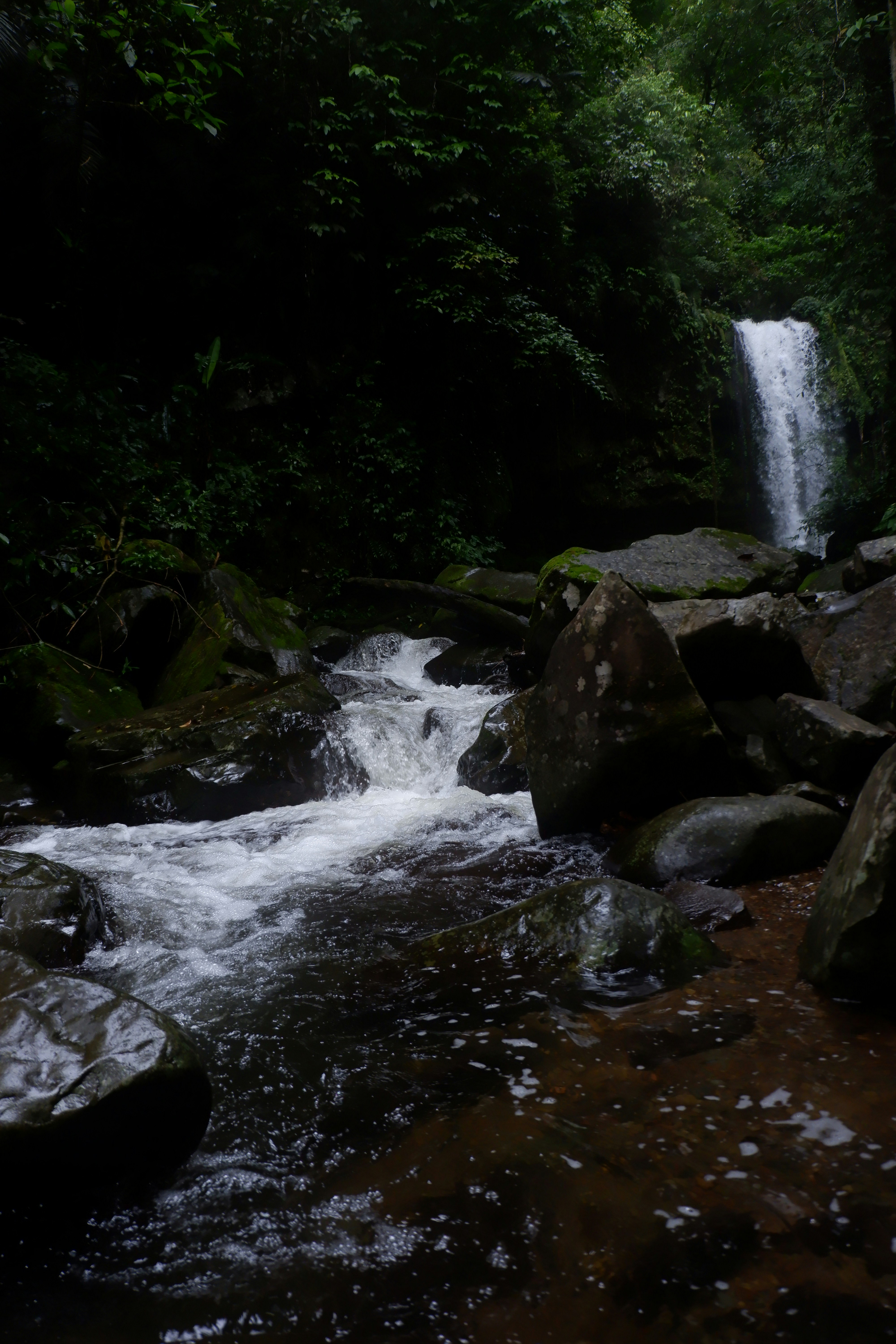 Moody Cascade Through Mossy Boulders