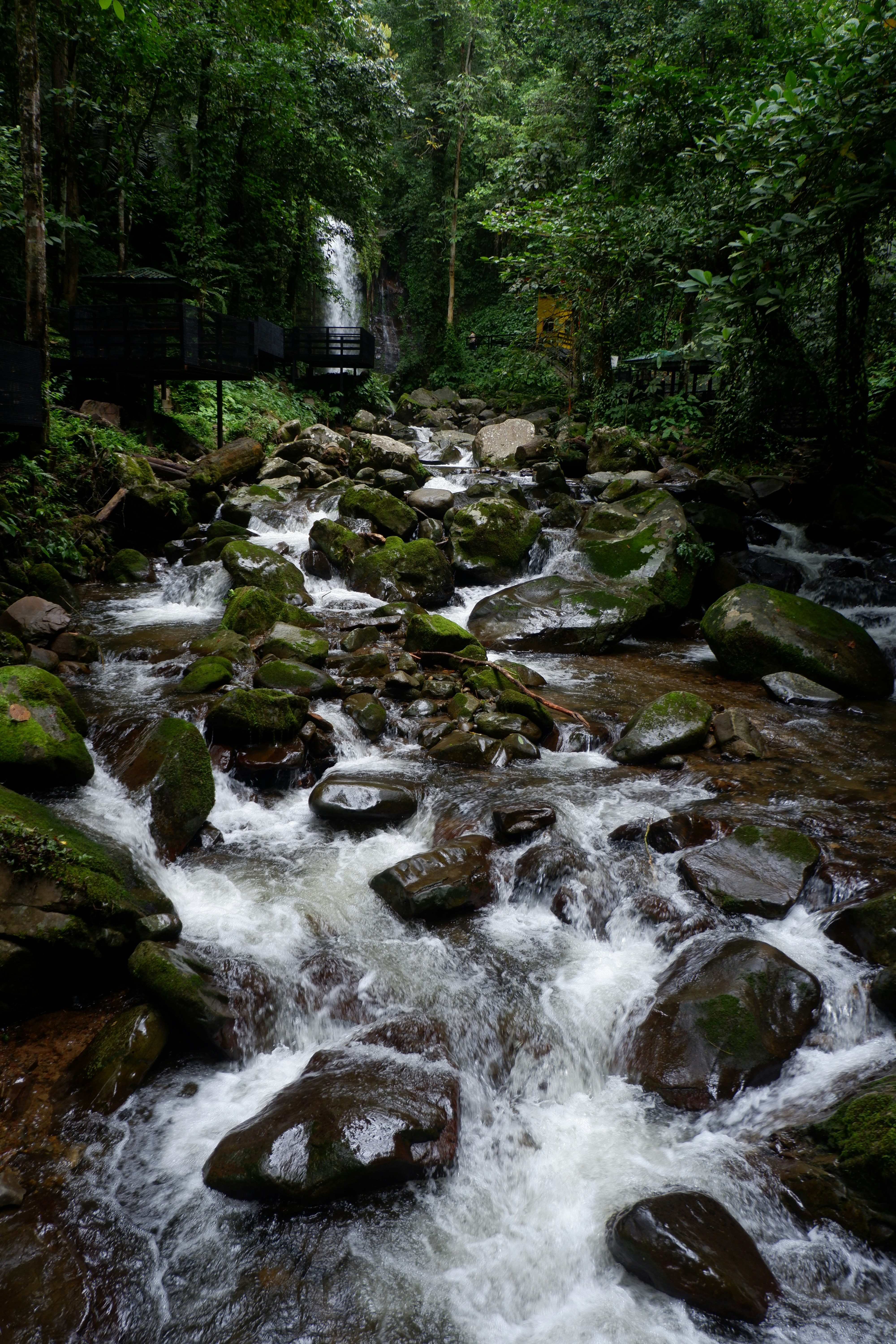 Rushing Cascade Through Mossy Stones