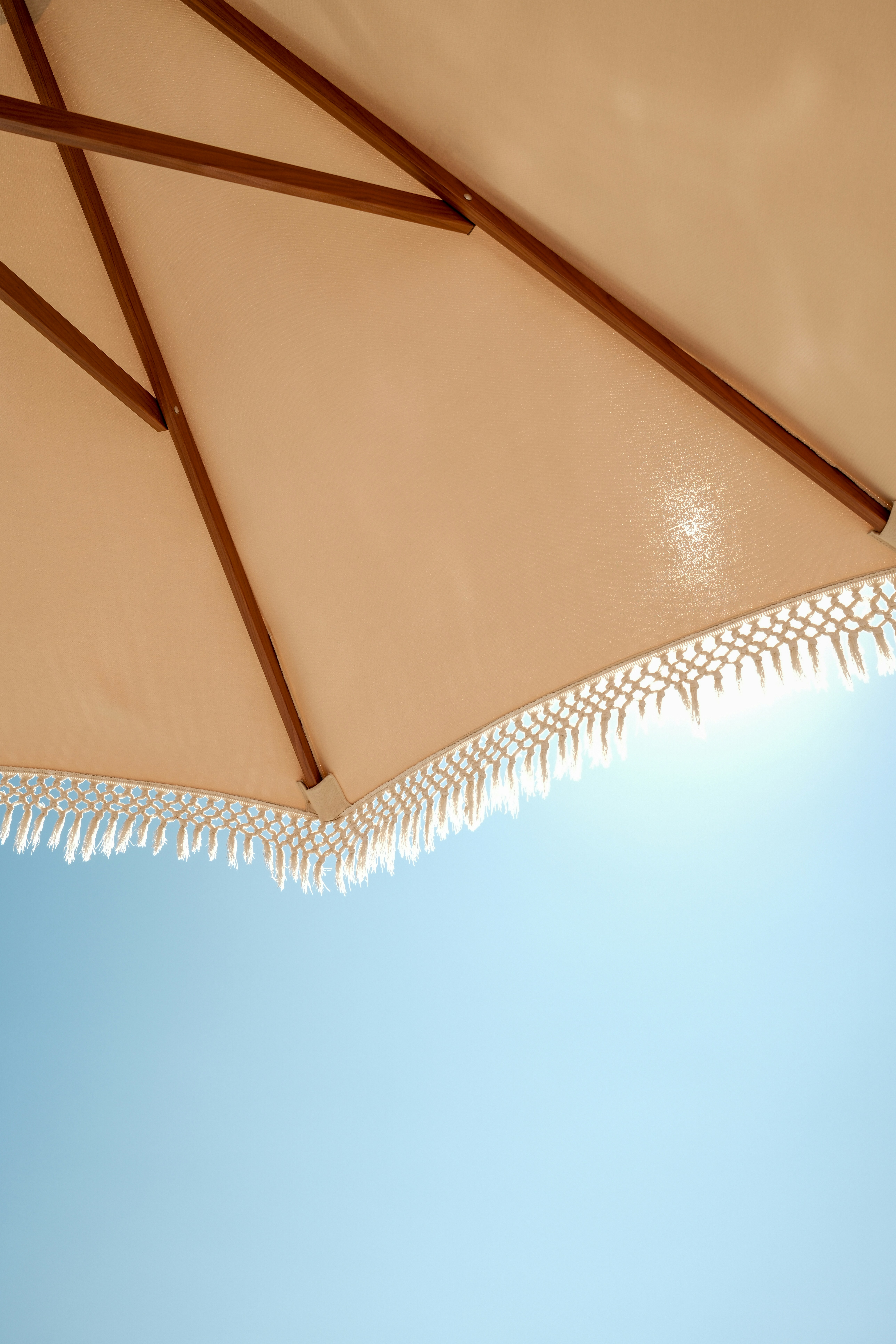 Underneath a Sunlit Canopy: A Corner of Terrace Shade and Lace