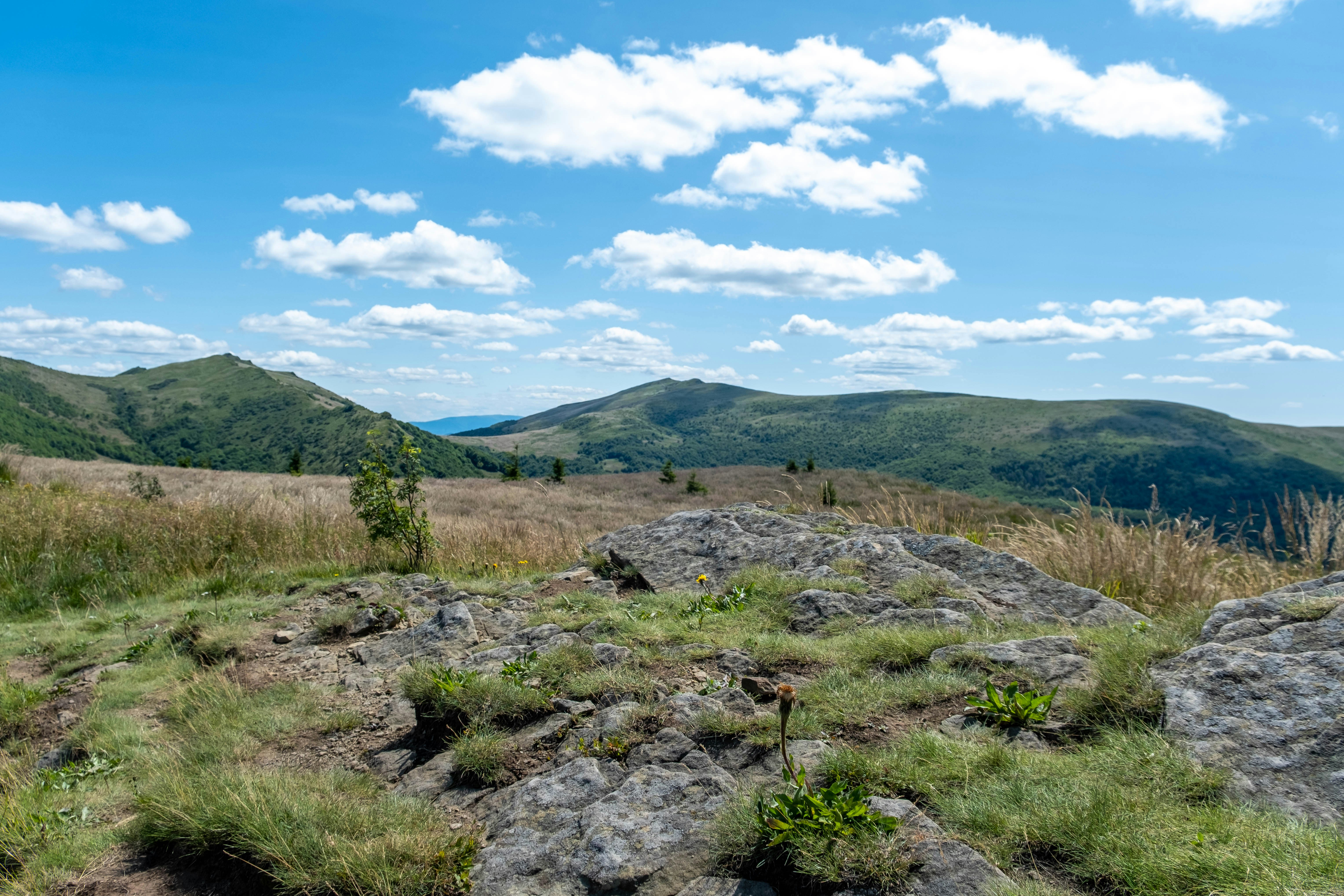 Sunlit Tapestry of rock and rolling hills