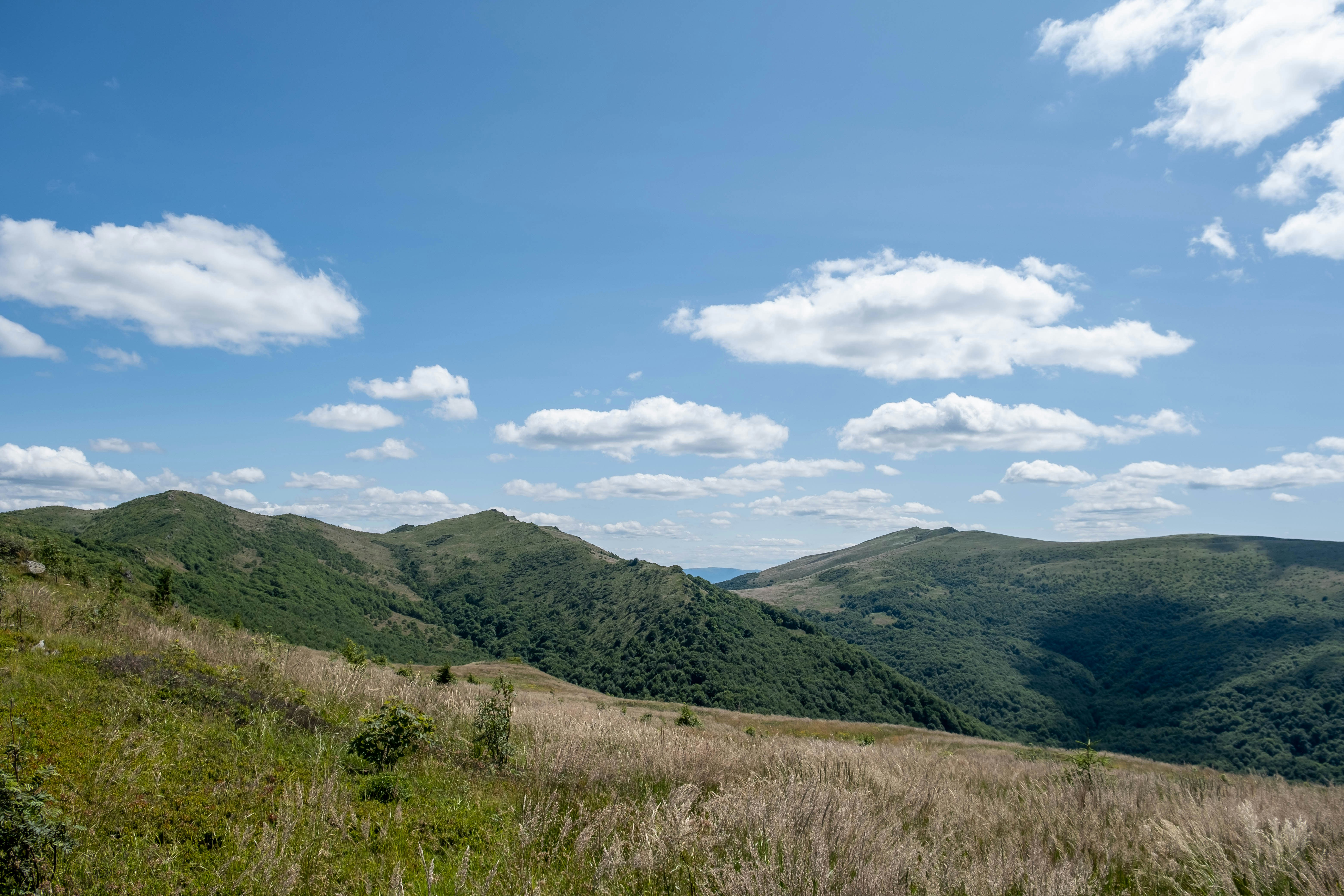 Open Sky over Rolling Hills: A Quiet Highland Vista