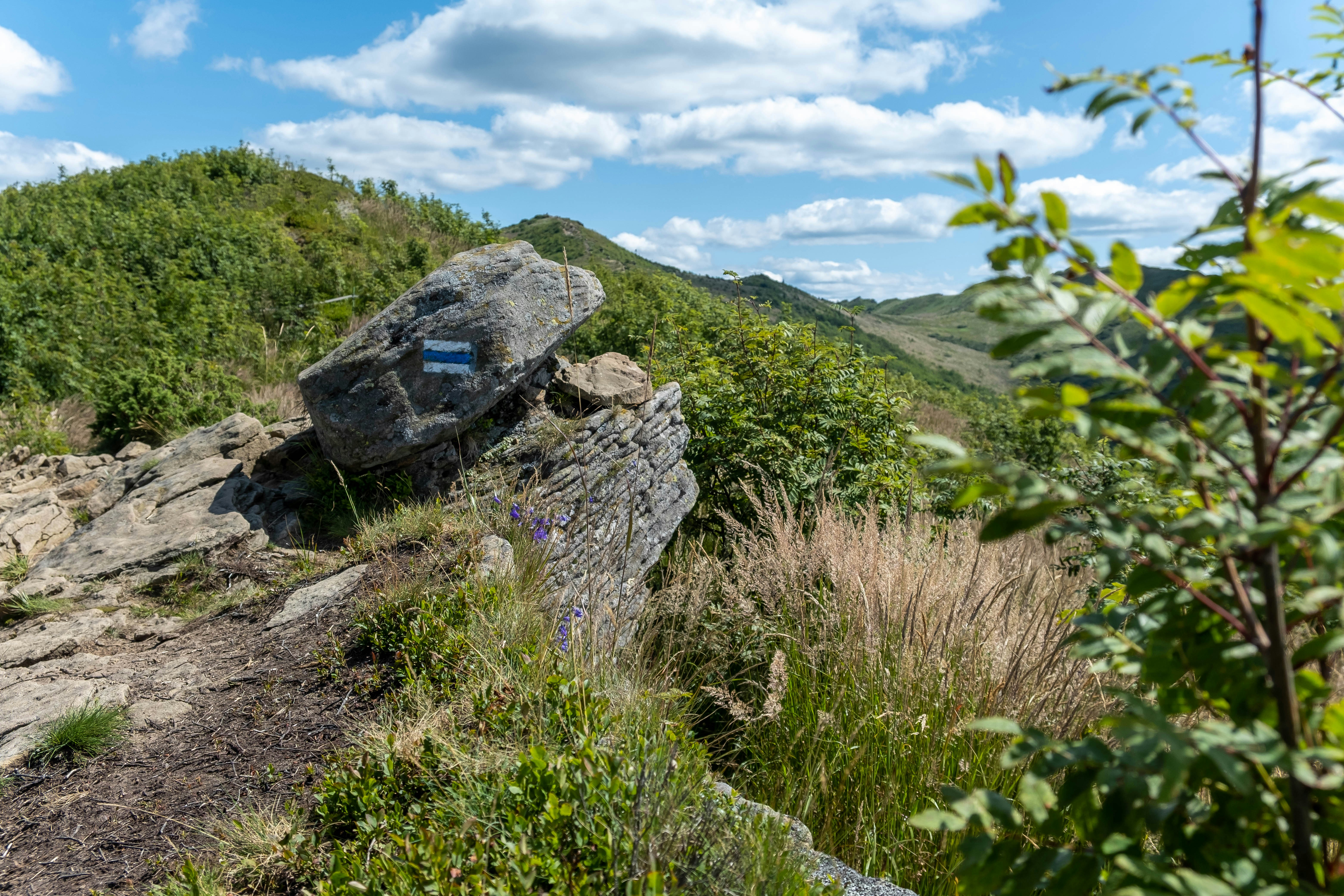 Trail Marker on a Sunlit Ridge