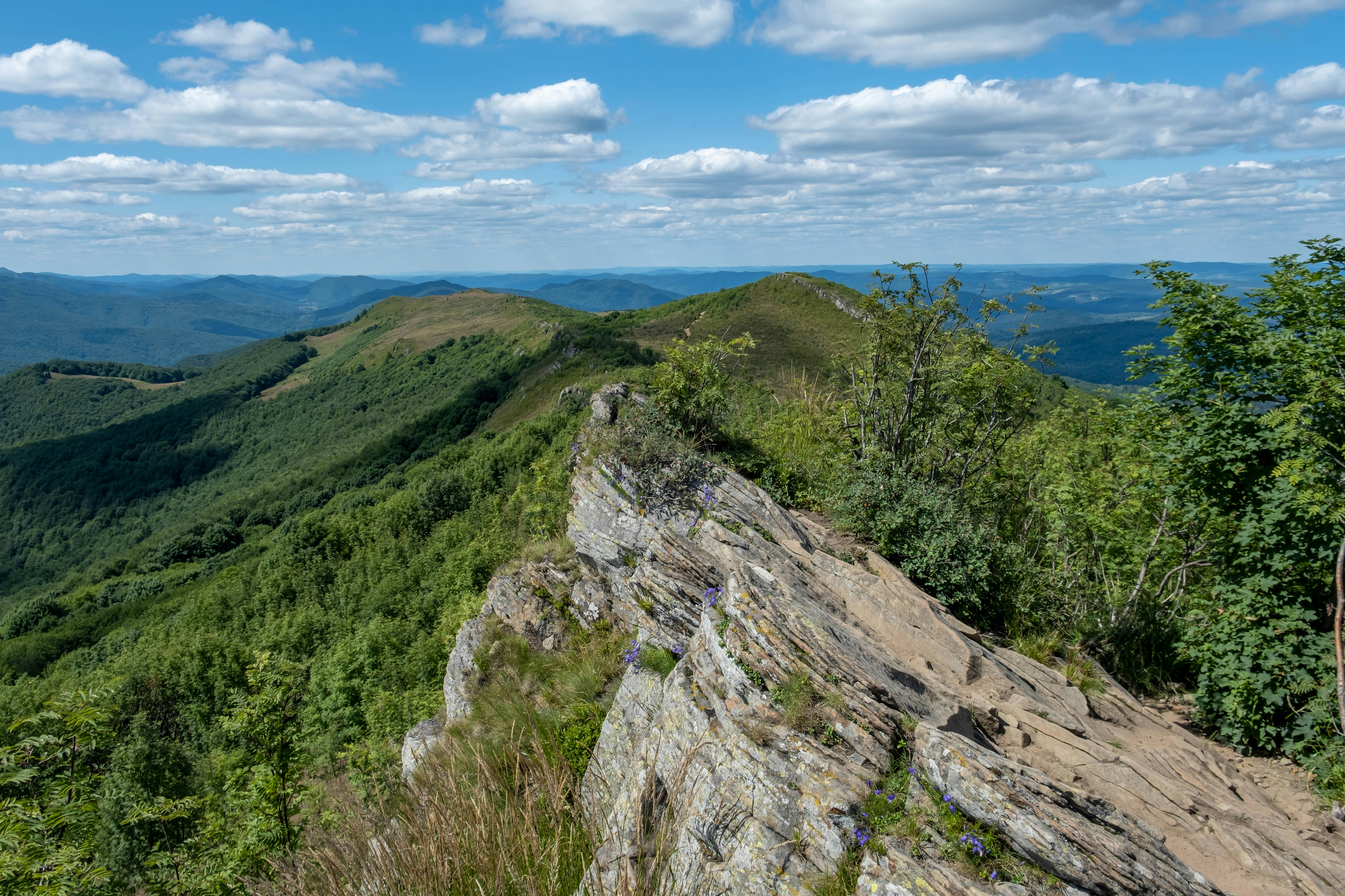 Ridgecrest Ascent: Sunlit Rock Promenade over the Green Spine