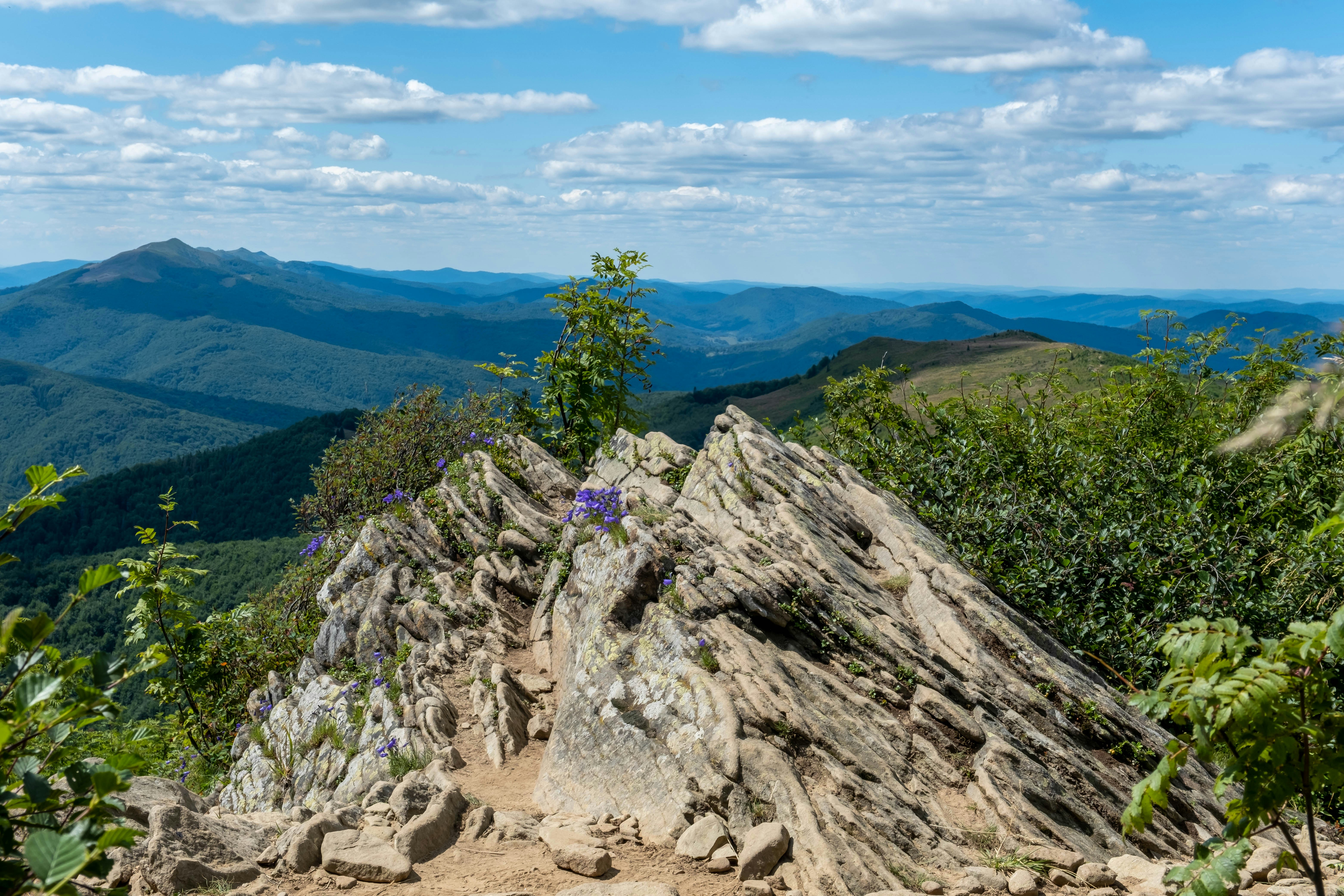 Crest of the Ridge: Sunlit Rocks with Quiet Valley Sprawl