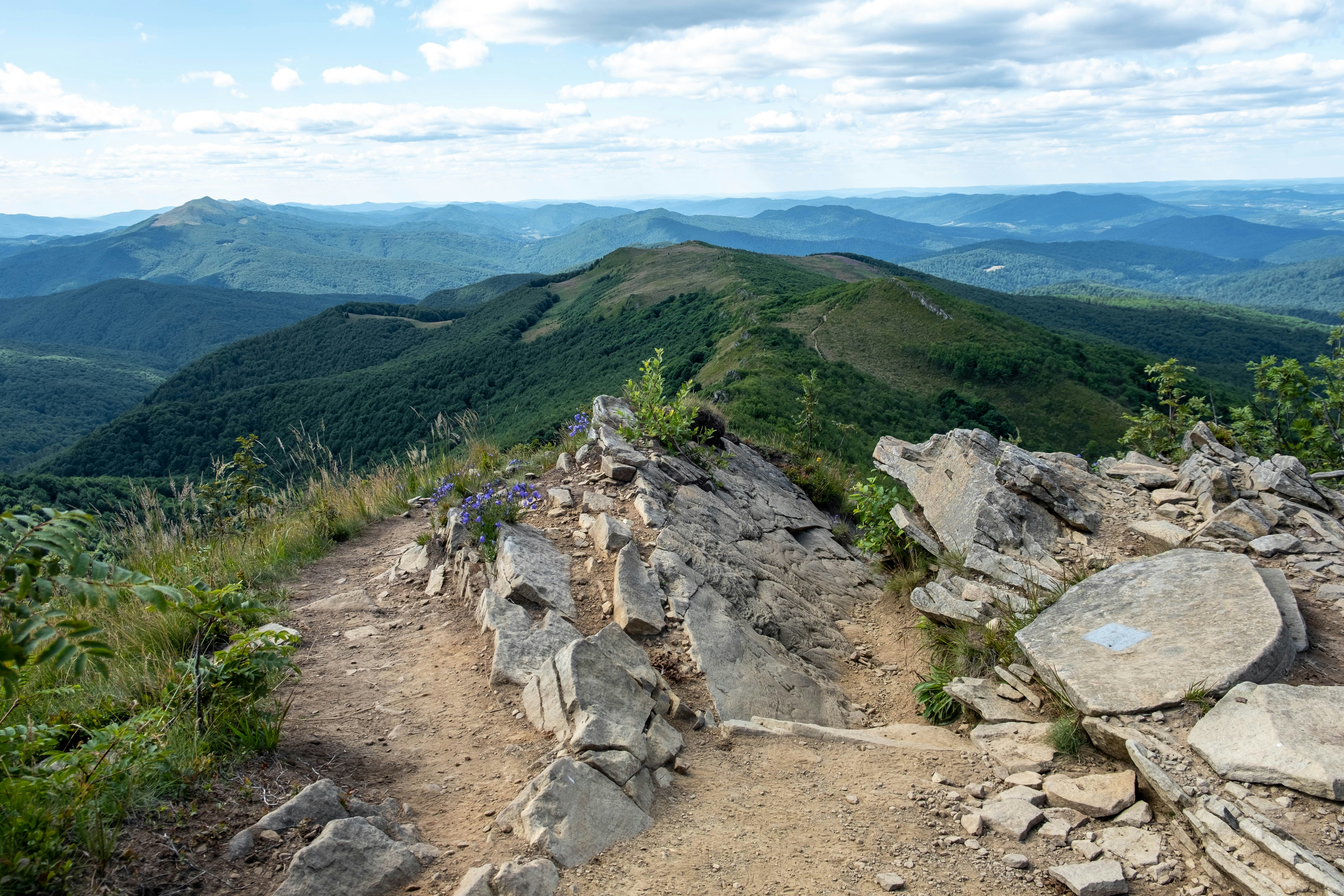 Ridgecrest Summit: Weathered Stones and Faraway Peaks