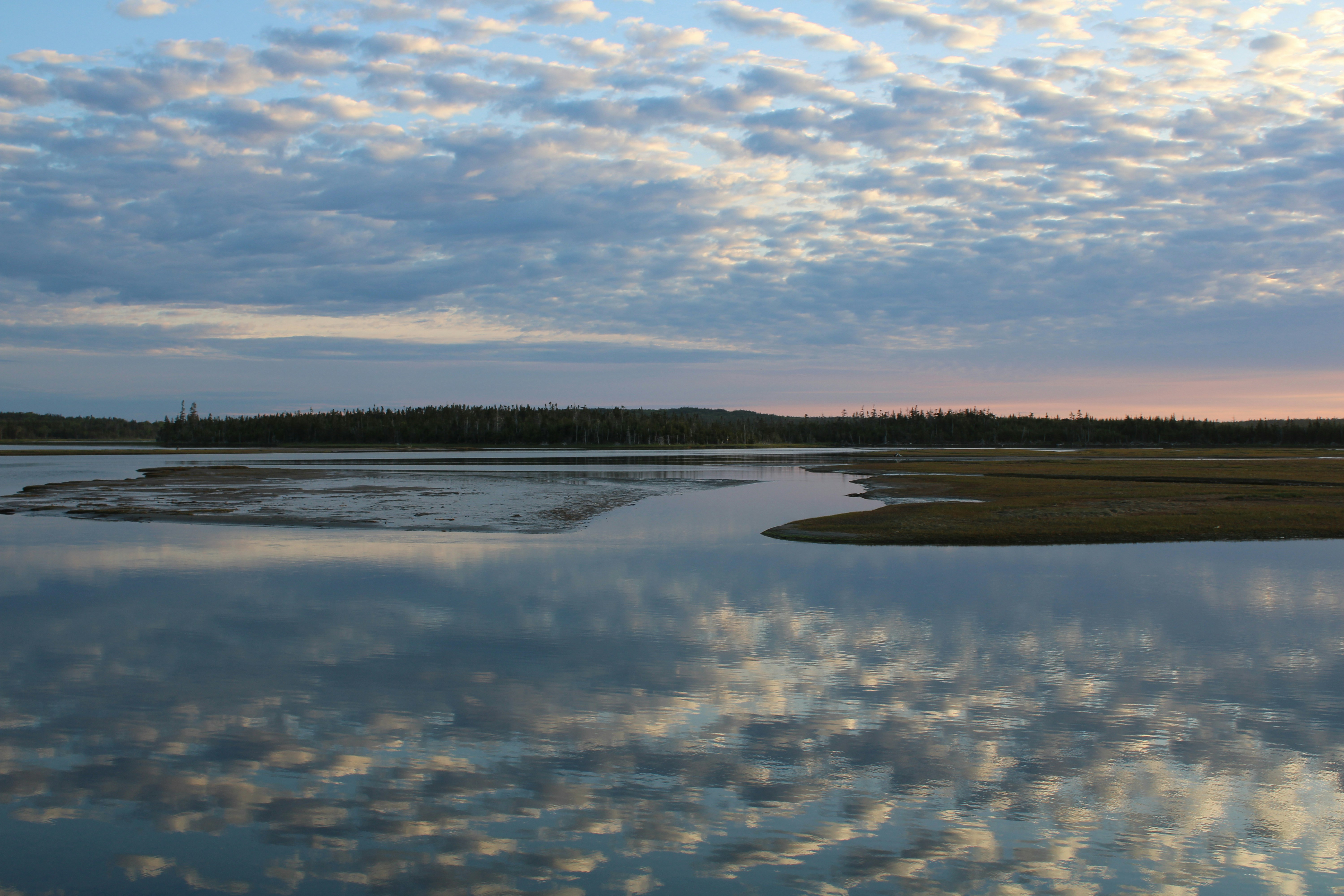  tranquil river delta at dusk with calm water mirroring the cloudy sky; distant treeline frames the horizon; a serene landscape scene without people or wildlife. 
