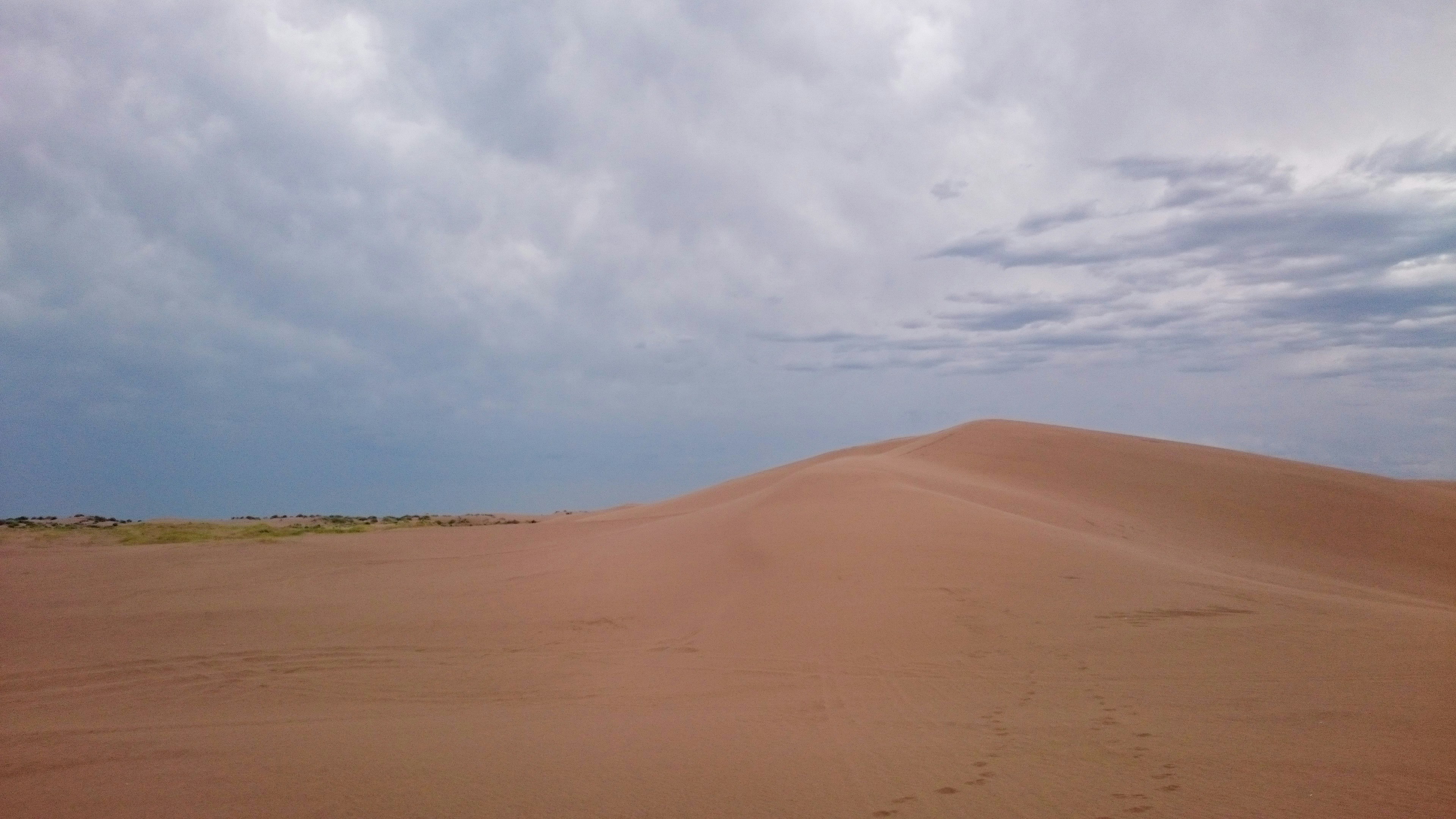 Sculpted Dune Horizon under a Quiet Sky