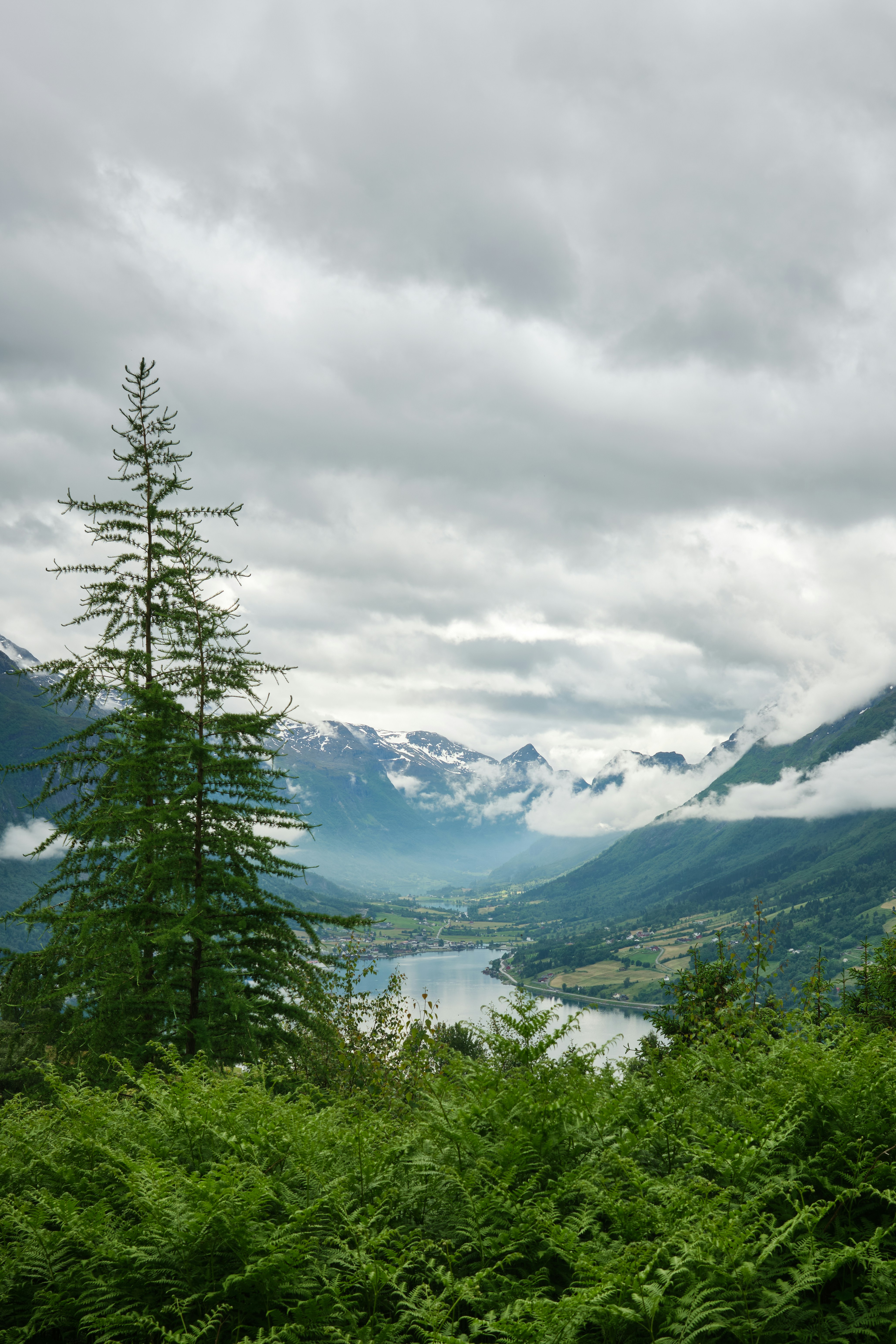 Valley Mirror: Peaks, Lake, and Pine