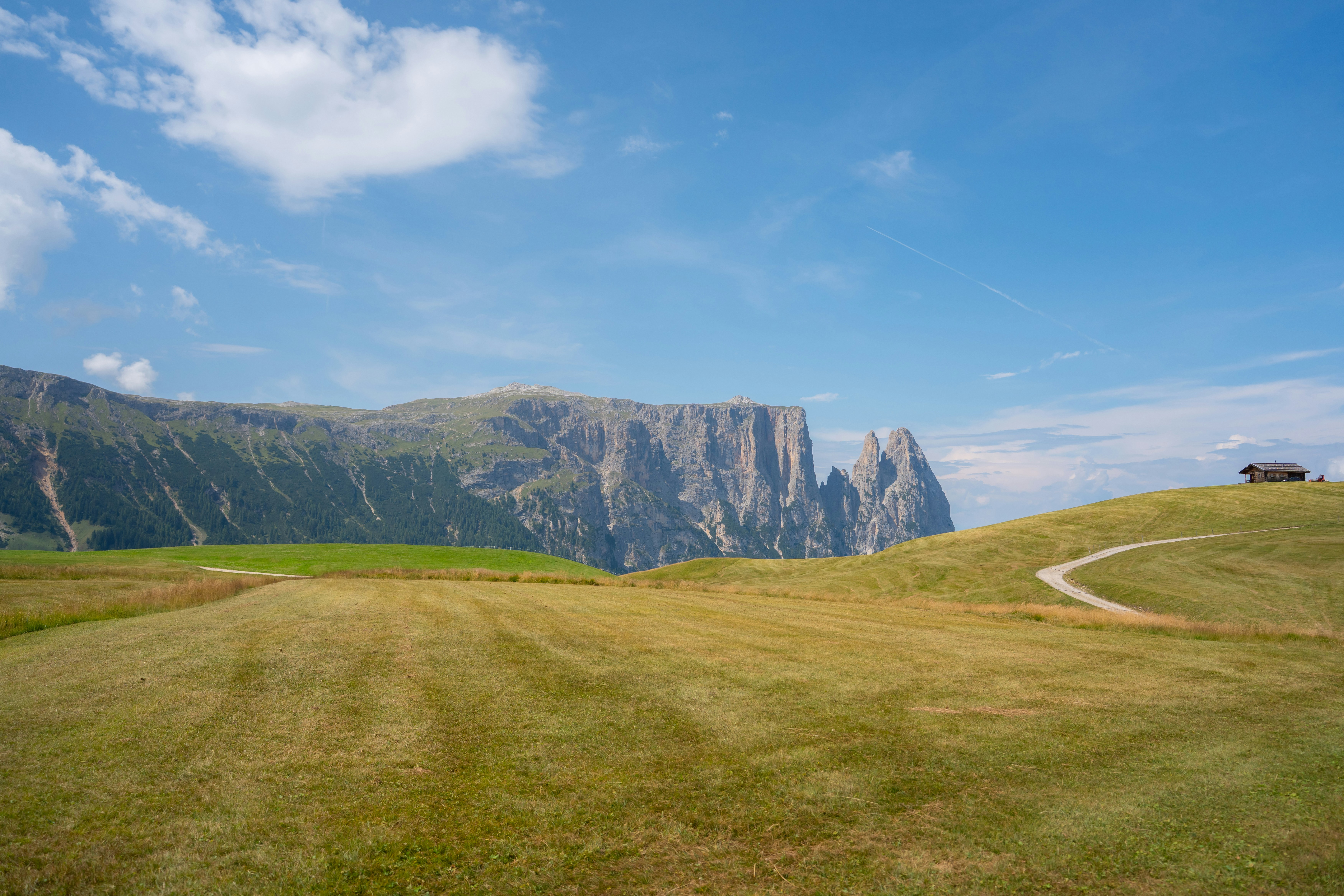 Curved Path to the Canyon Ridge