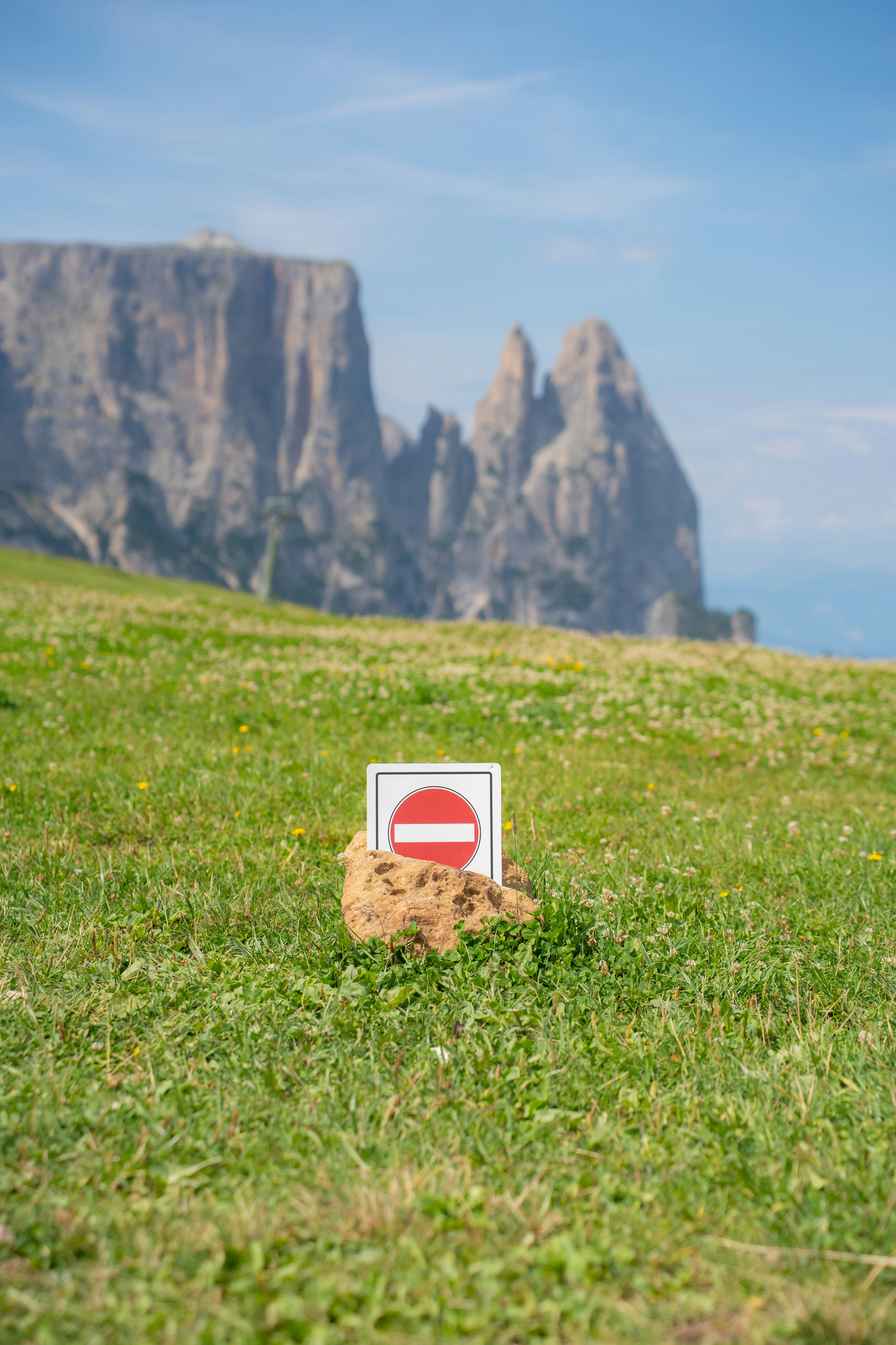 Limit of Green: A Mountain Sign Framed by Alpine Meadow