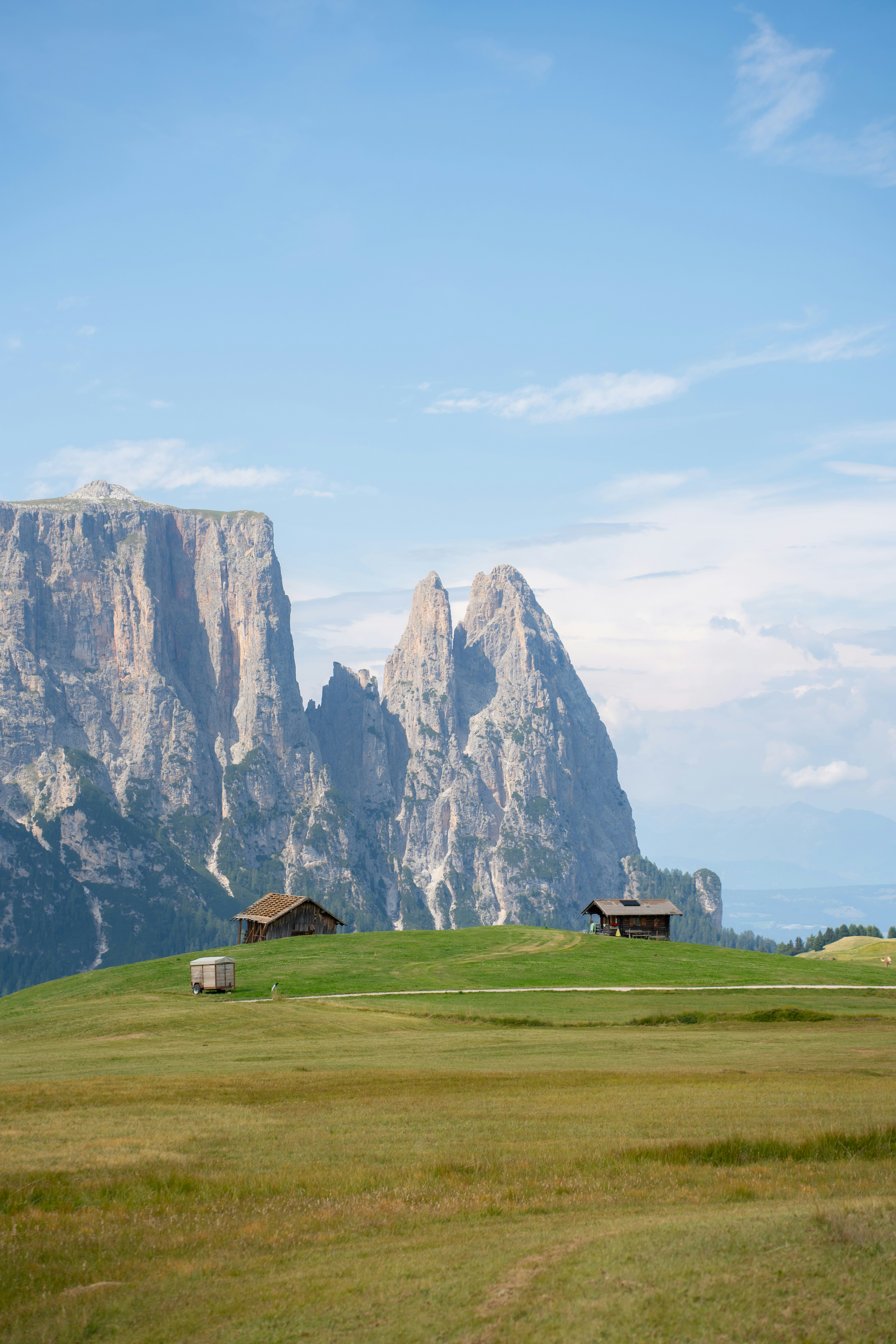 Twin Peaks and Alpine Meadow under a Cerulean Sky