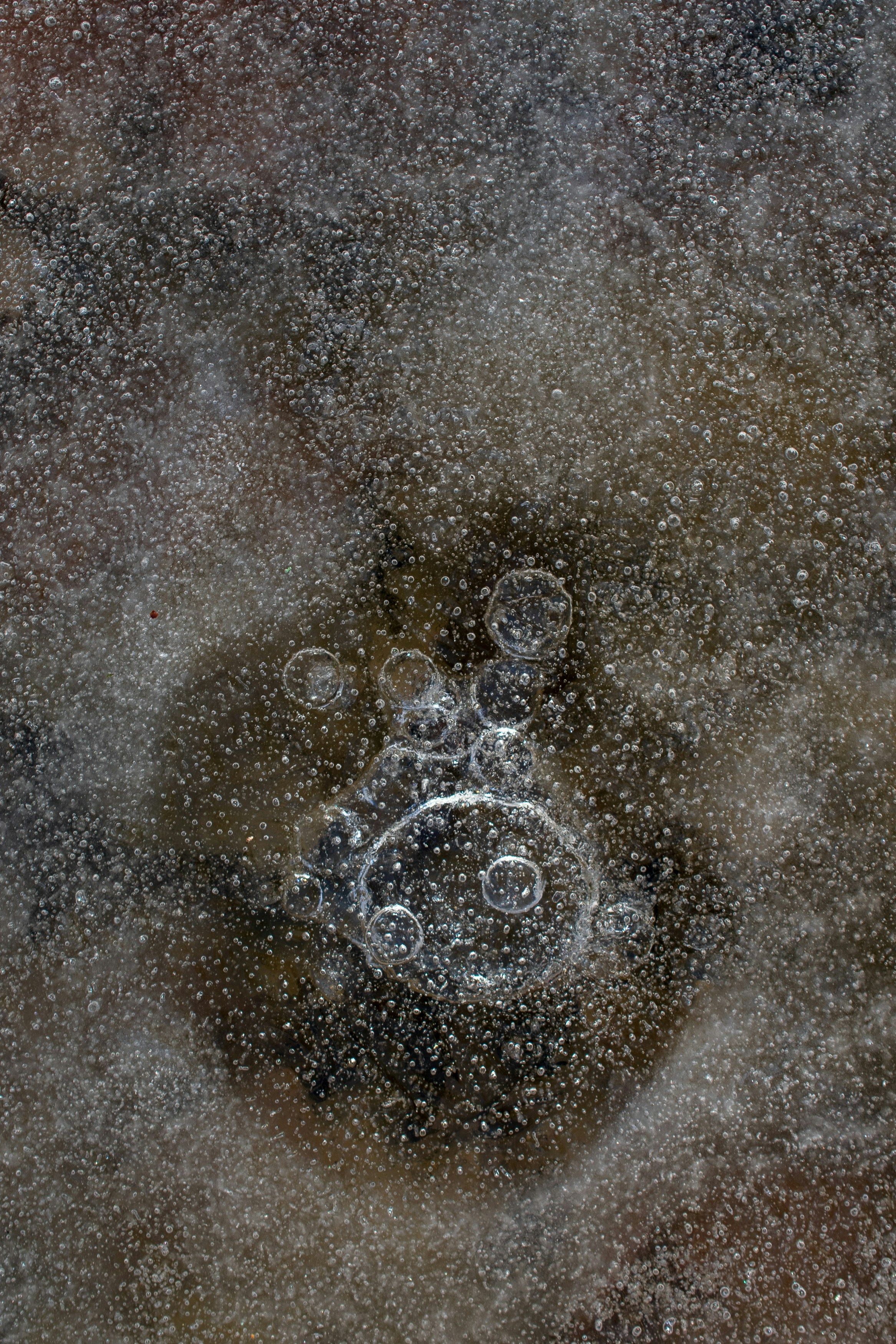 Aurora of Bubbles: A Frozen Ripple in the Glass