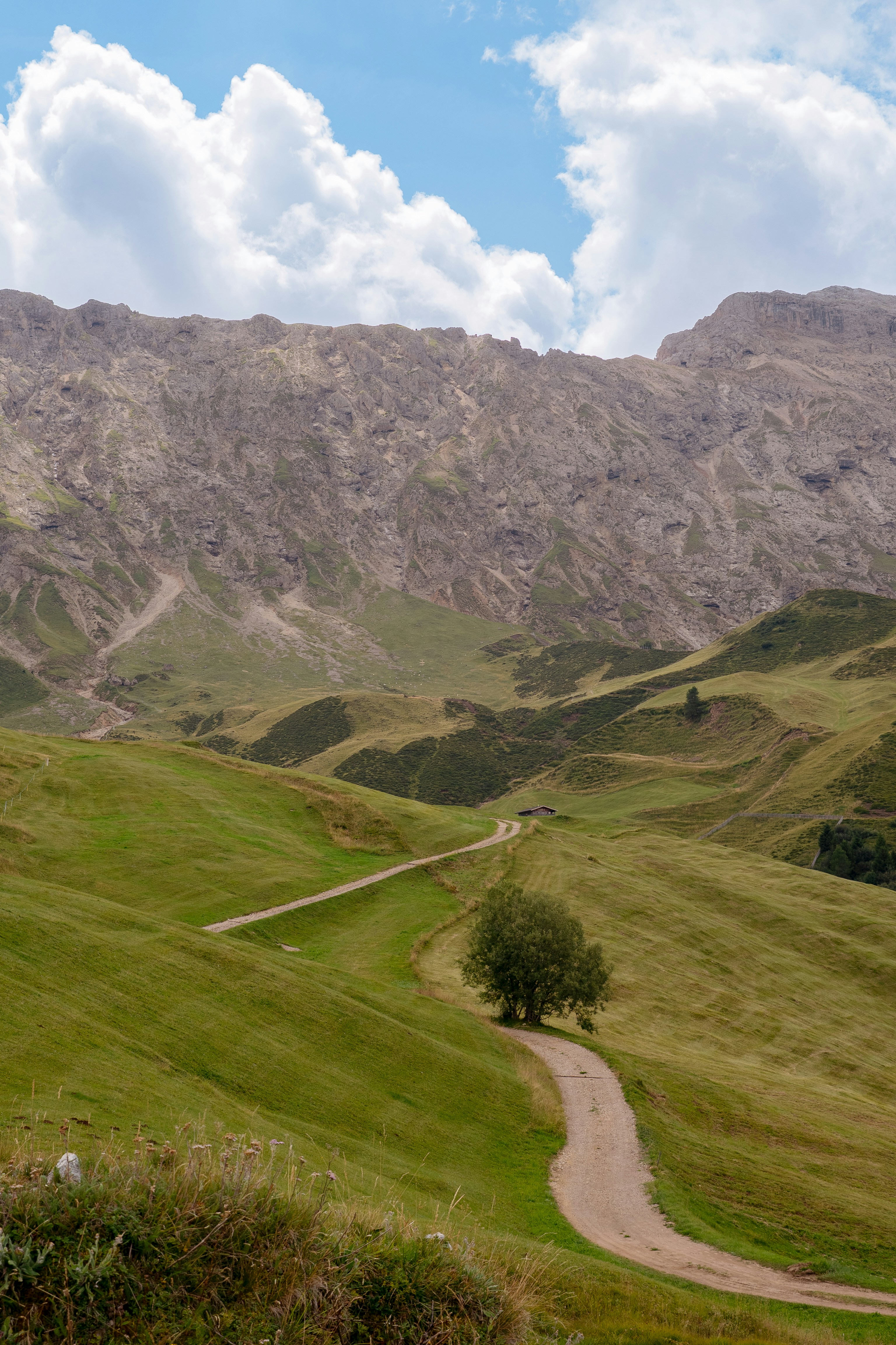 Serpentine Path through Alpine Pasture toward rocky ridges