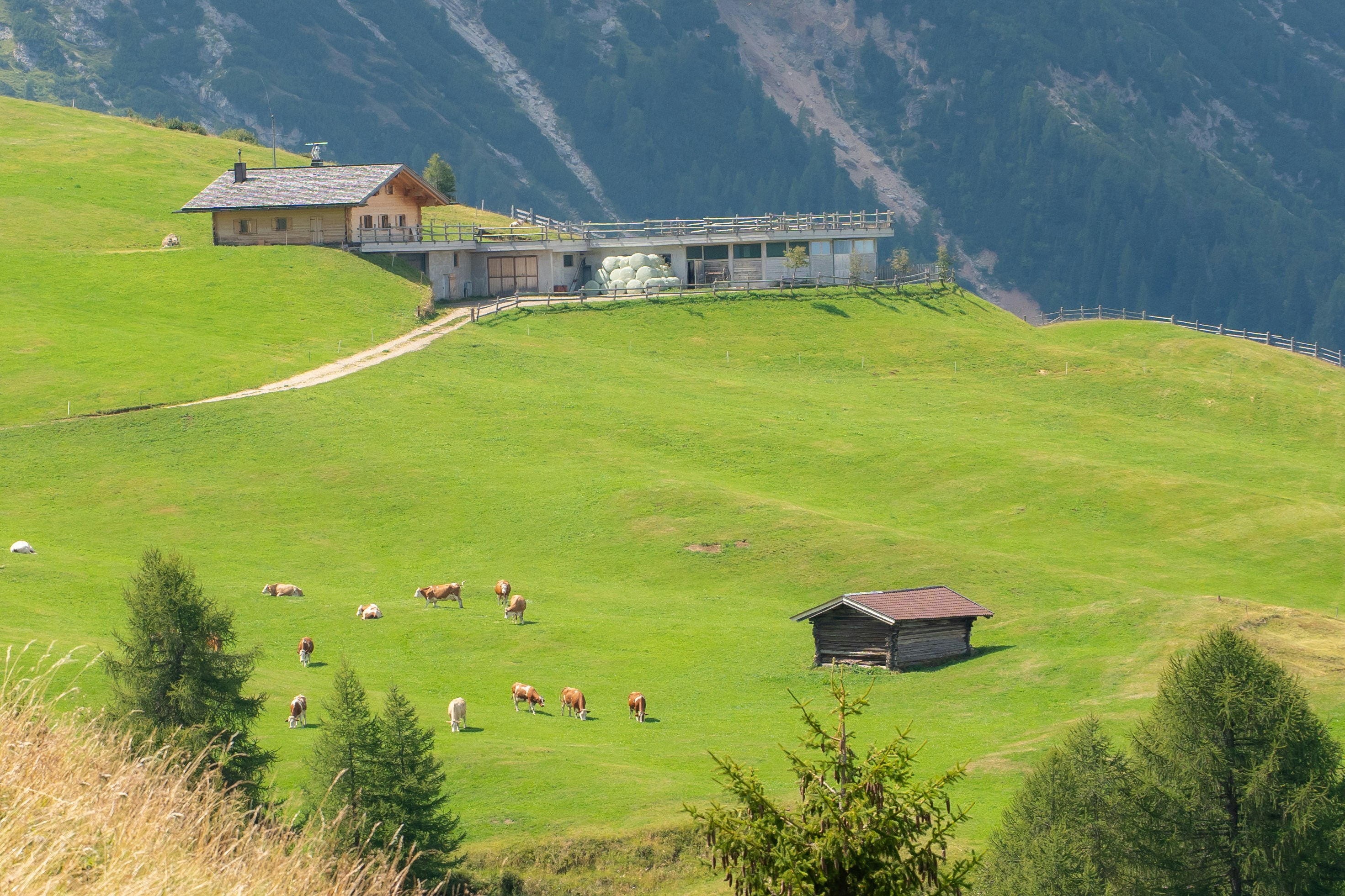 Pasture Retreat: A hillside lodge beneath the alpine range
