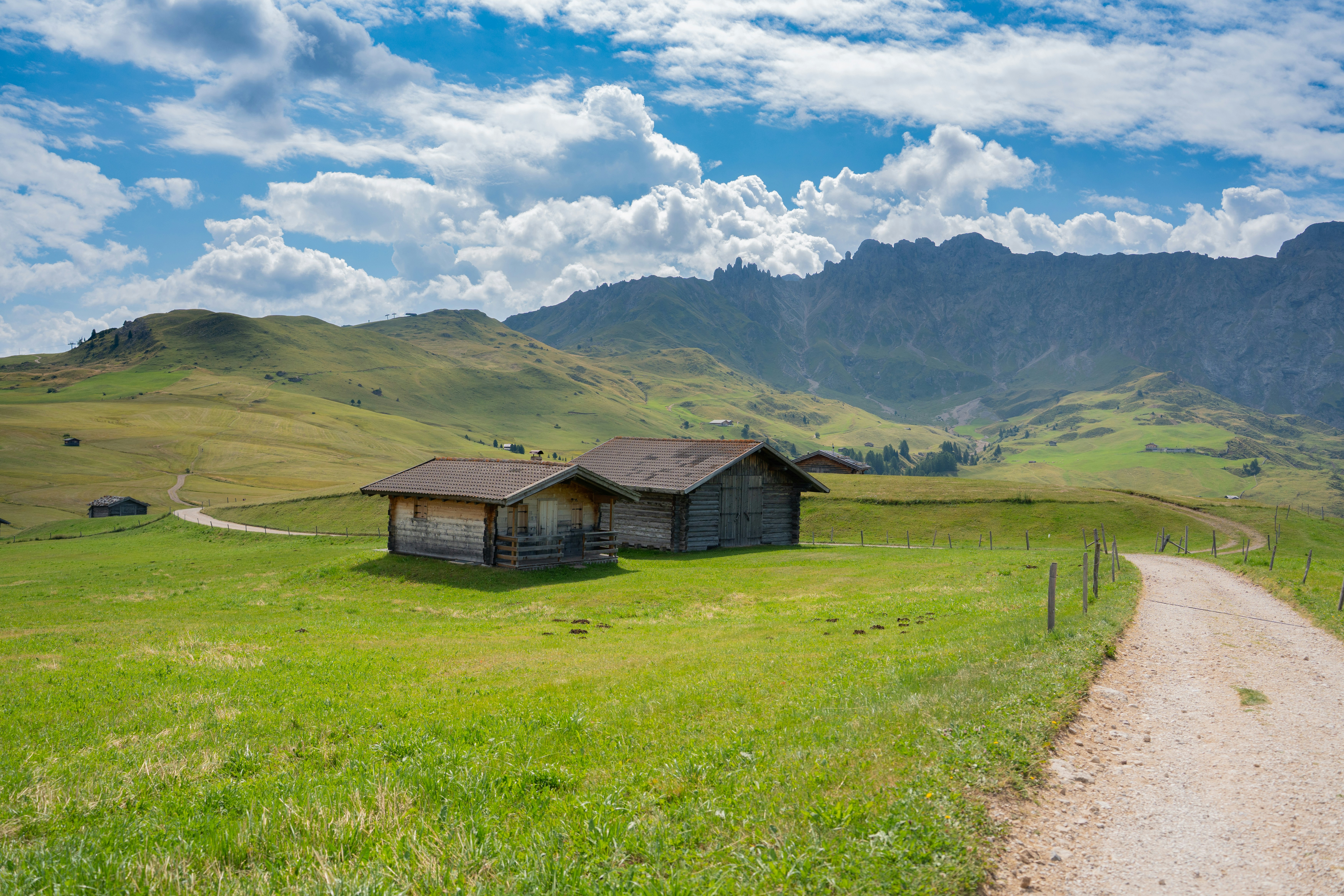 Two Rustic Cabins Nestled in a Rolling Alpine Meadow
