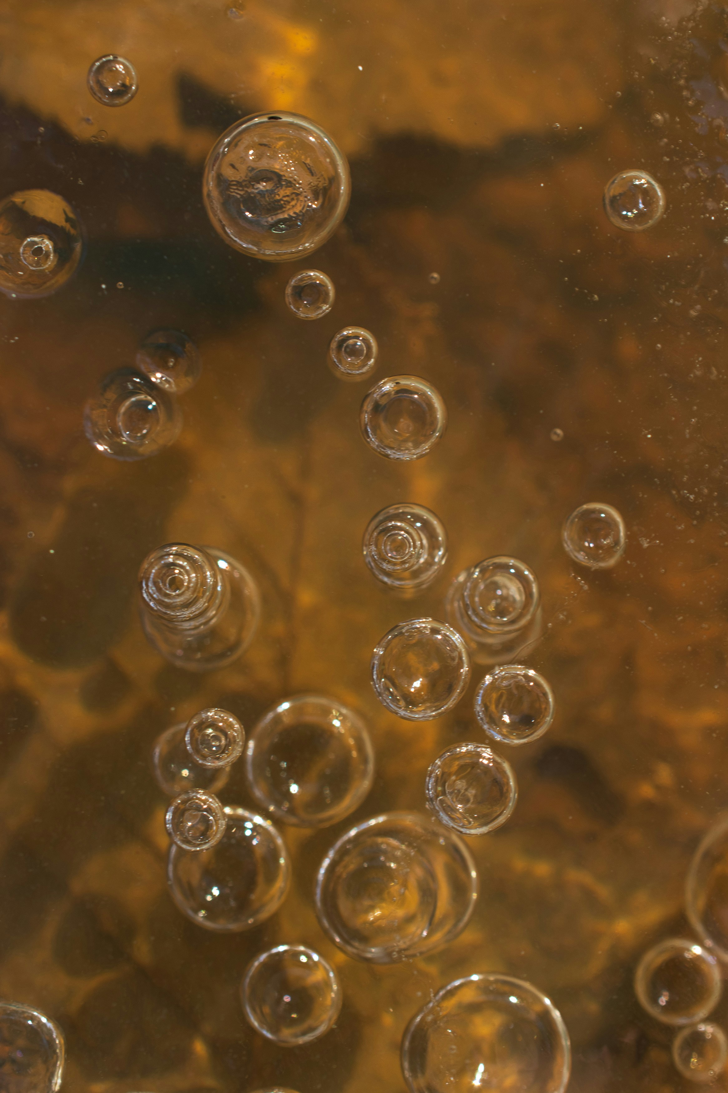 Bubbles Ascend in Ocher Water: A Close-Up of Submerged Orbs
