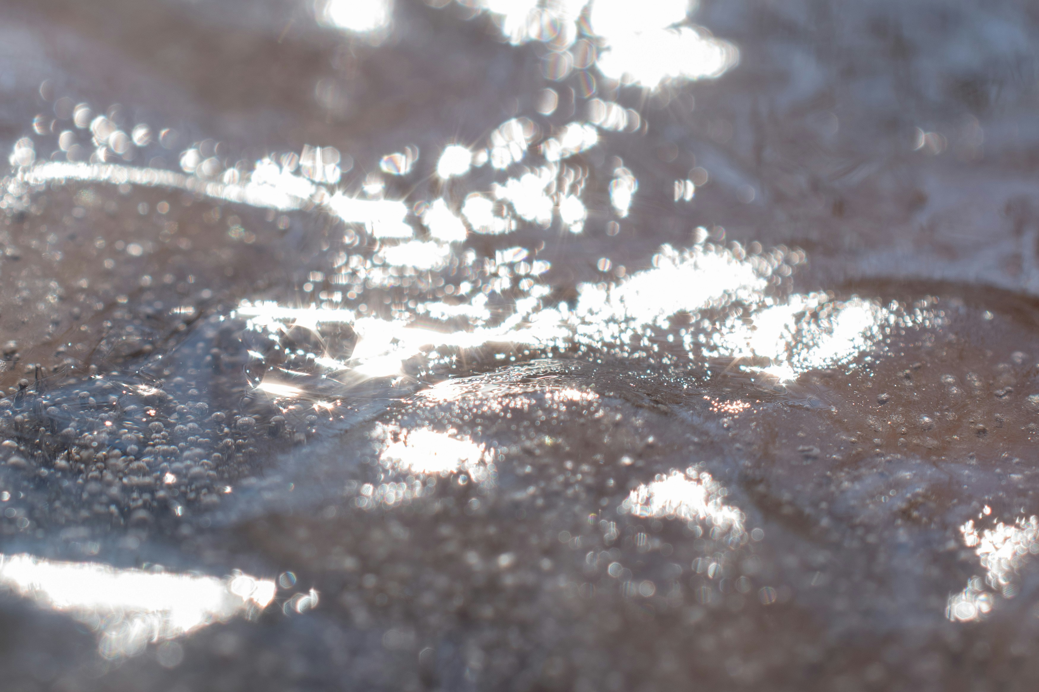 Glints on Wet Pebbles: Quiet Light on a Shore