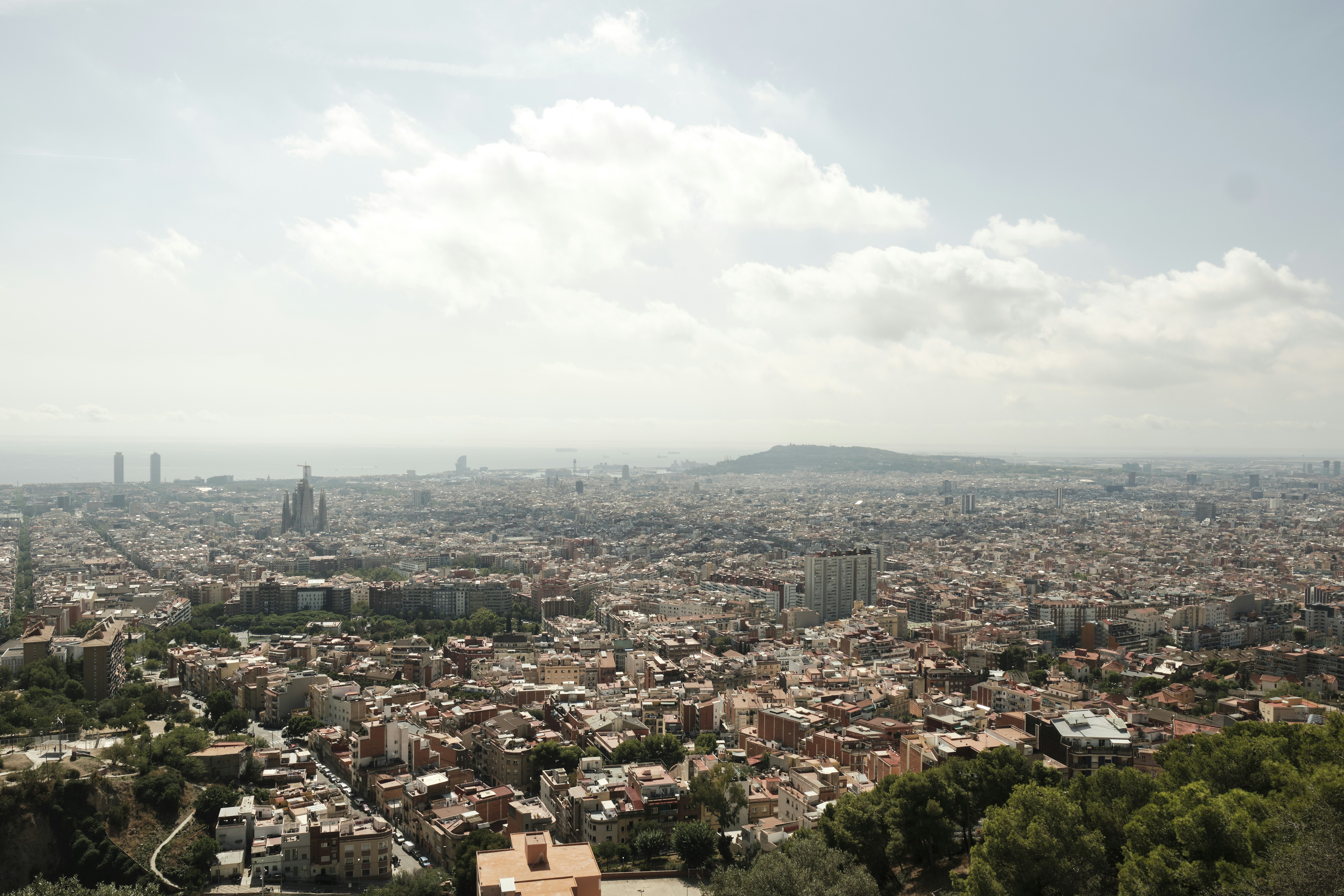 A panoramic cityscape reveals a dense grid of rooftops stretching toward a calm horizon; distant high-rises punctuate the skyline, with a gentle hillside foreground framing the urban expanse.