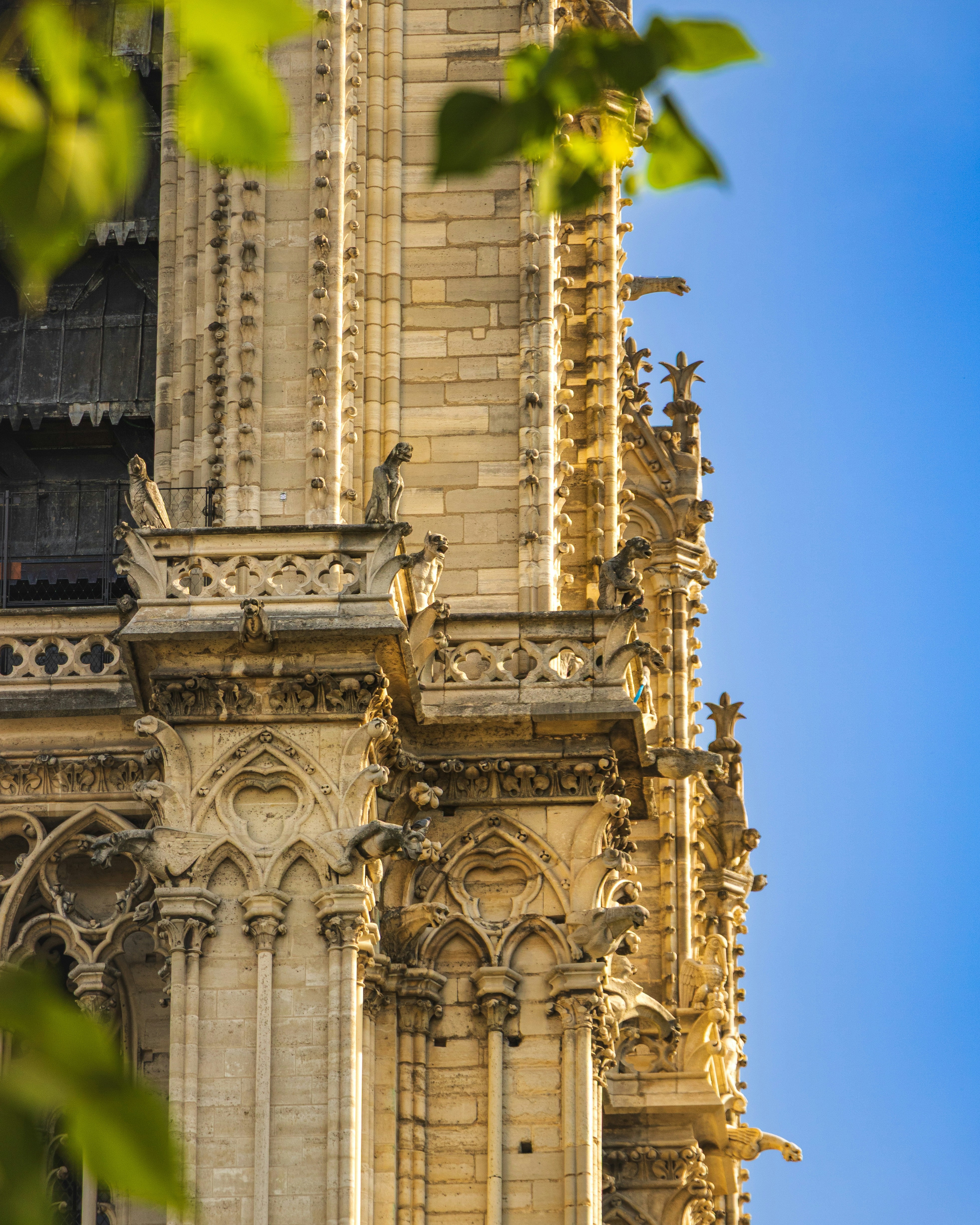 Ornate Stonework Clad Cathedral Spire Reaching Toward a Clear Sky