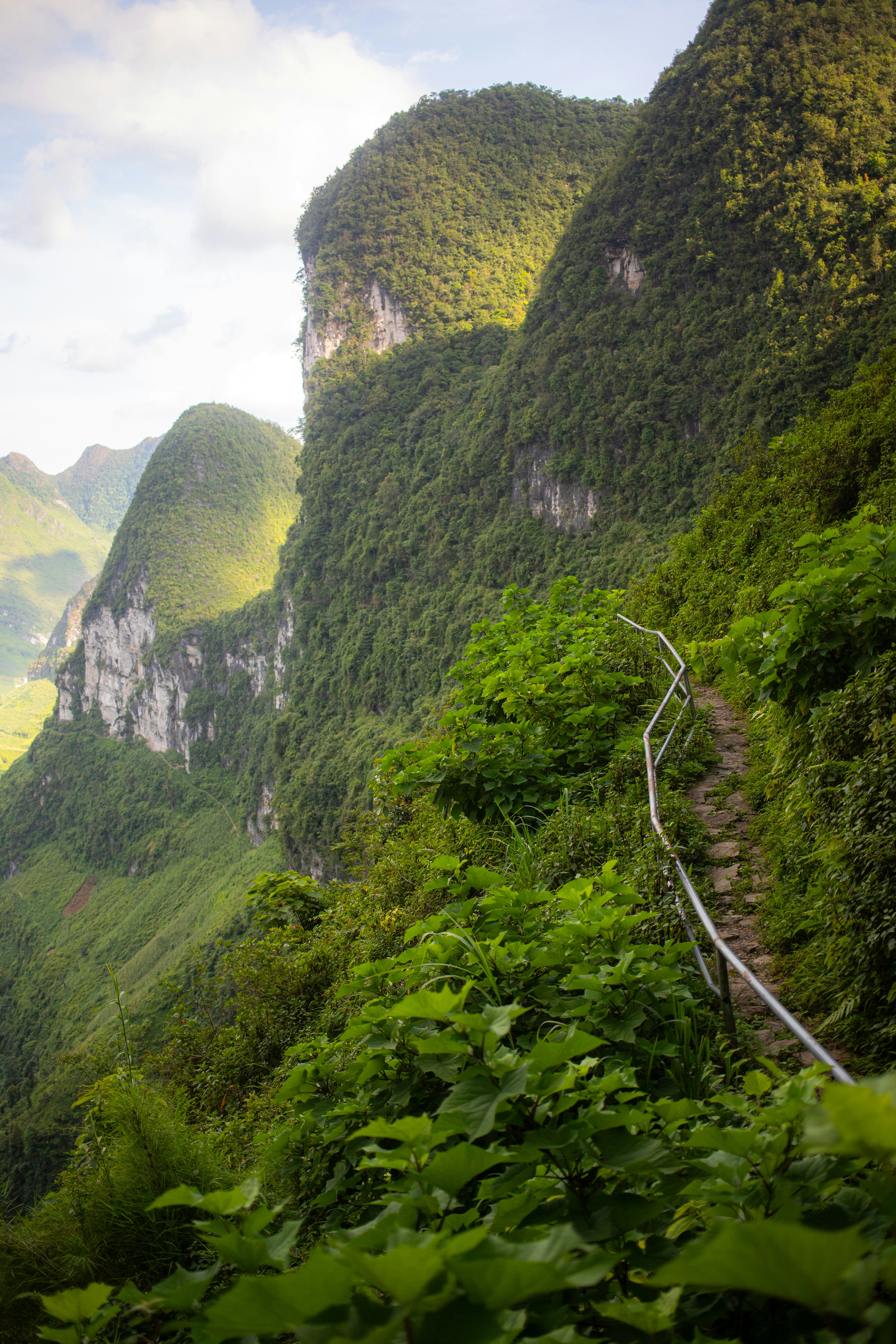 Edge of the Path: Green Cliffs and a Narrow Ascent