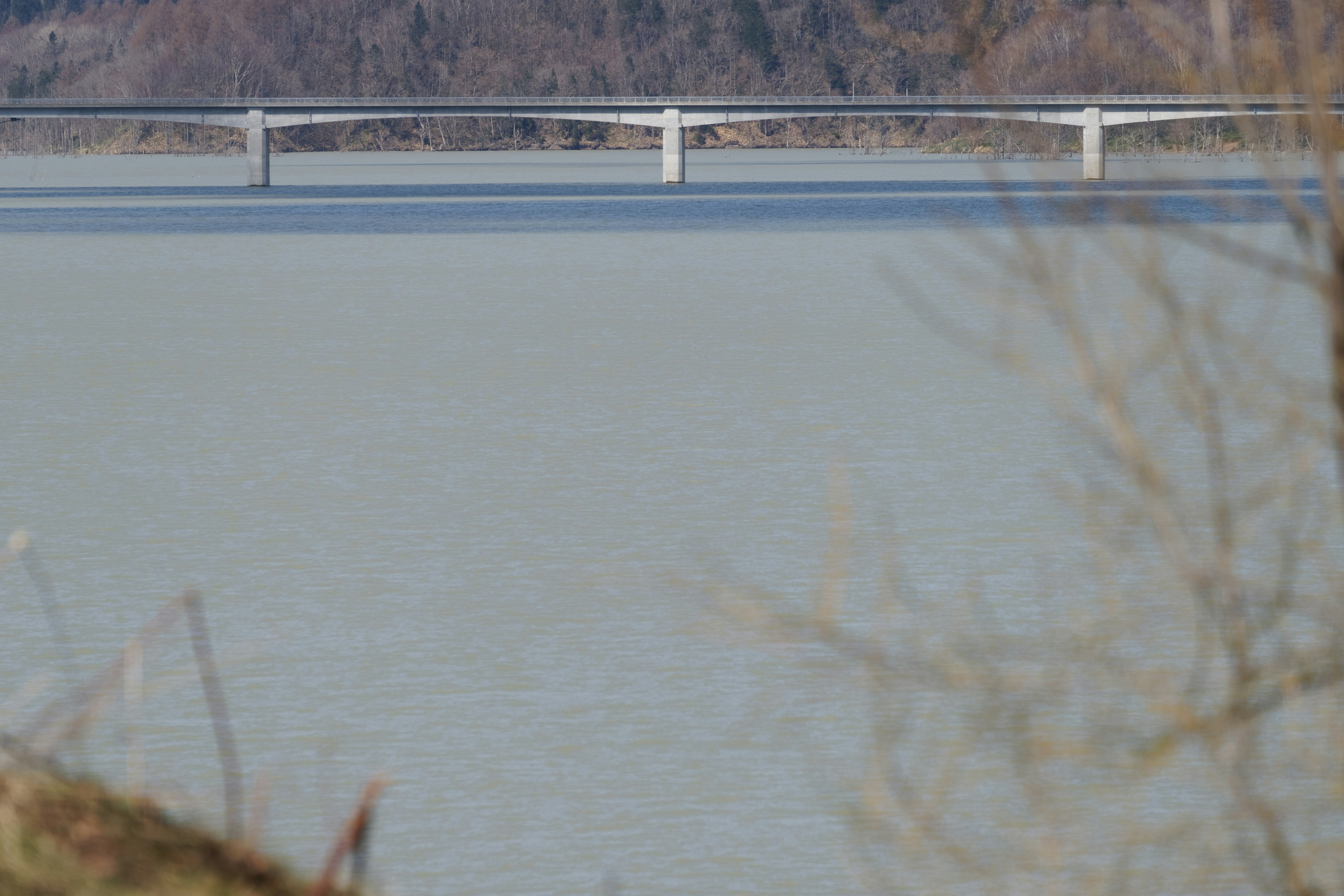 Muted lakeside scene with a distant bridge across pale blue water, foreground branches partially framing the view. A minimalist landscape devoid of people, emphasizing tranquil geometry.