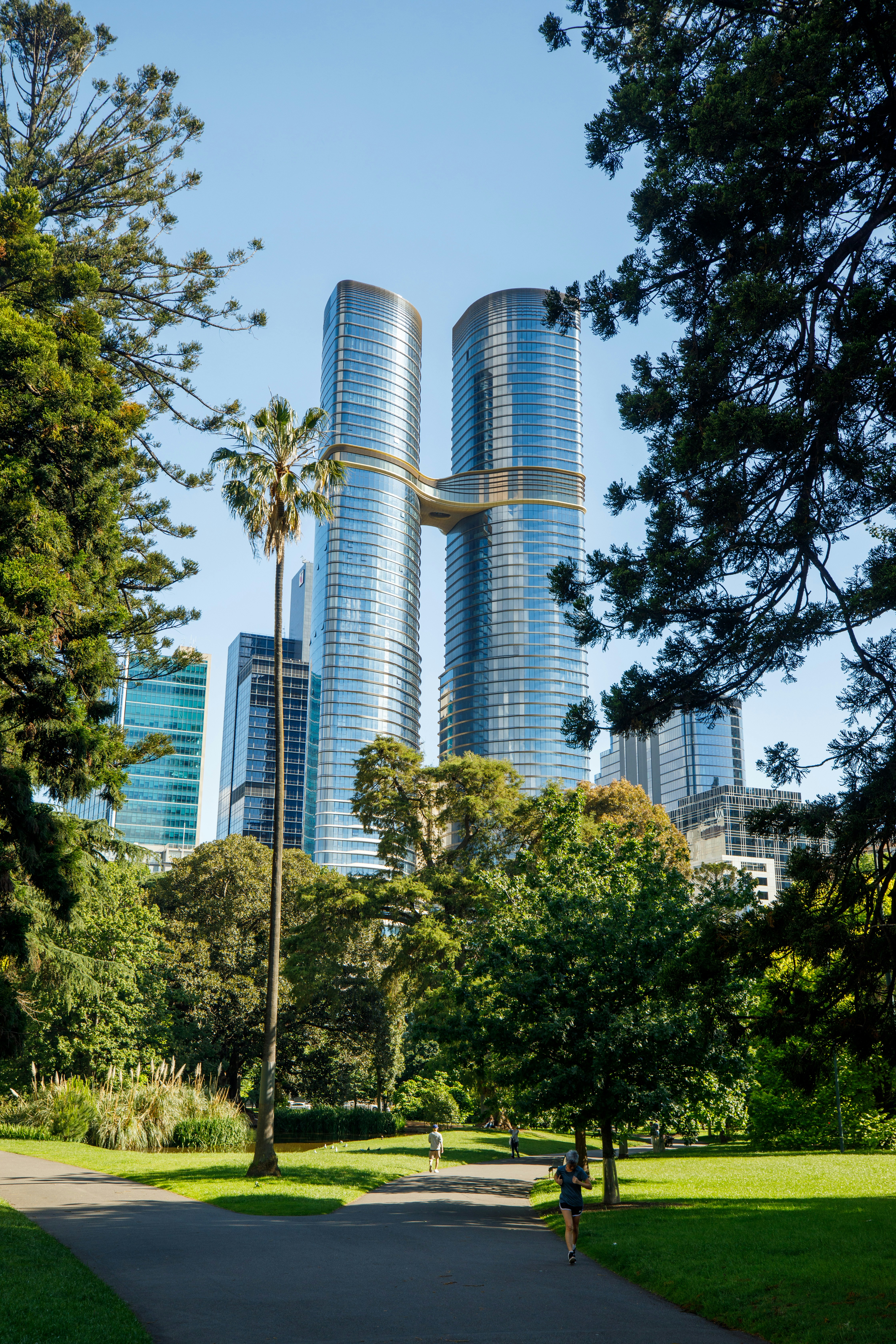 Twin Towers in a Green Vista: A City Park Frame