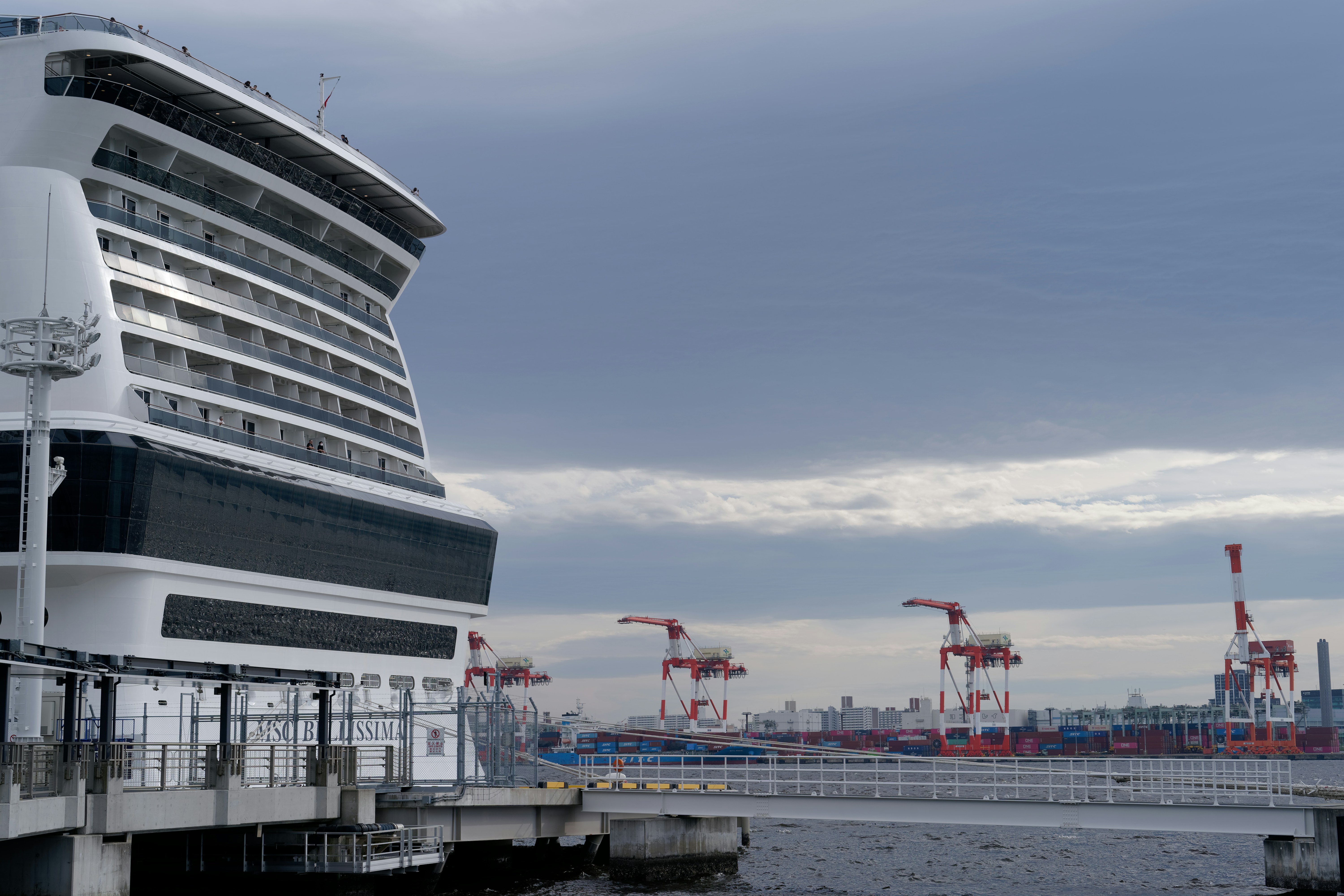 Dockside Gaze: The Gentle Grandeur of a Port-side Cruise Ship