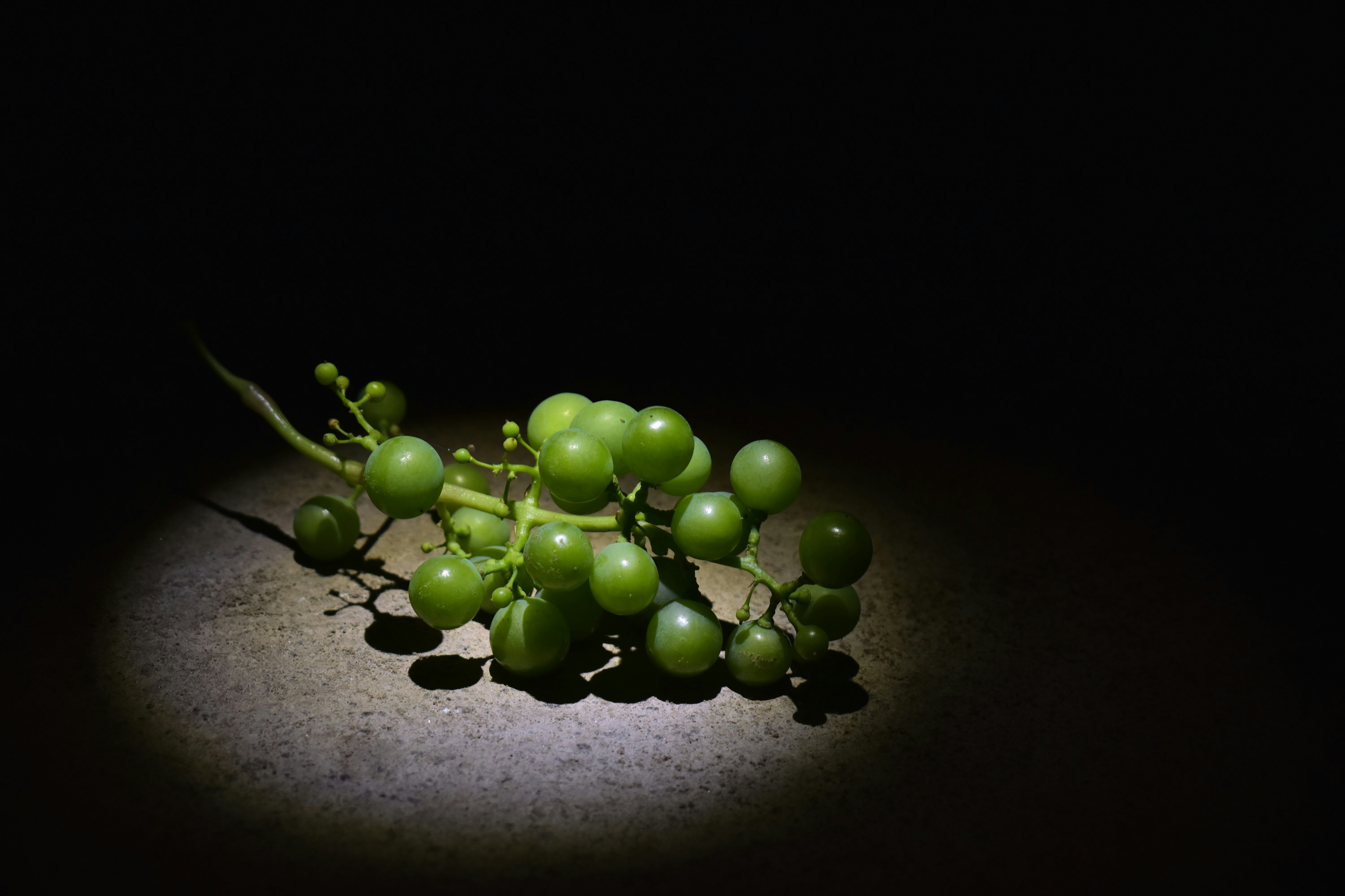 Spotlit Green Bunch: a Focused Quiet on Depth and Texture