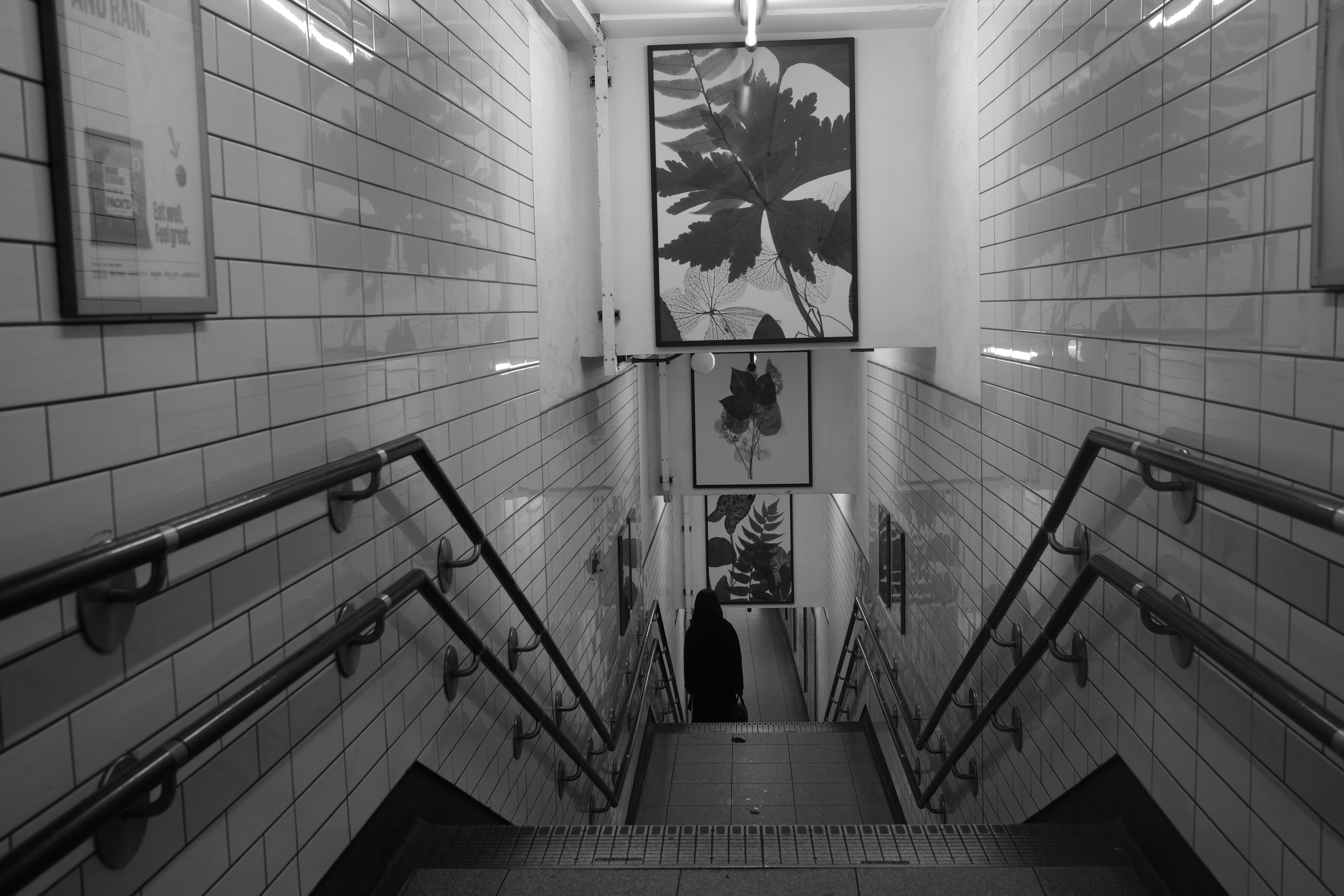 Down the Quiet Subway: A Monochrome Descent