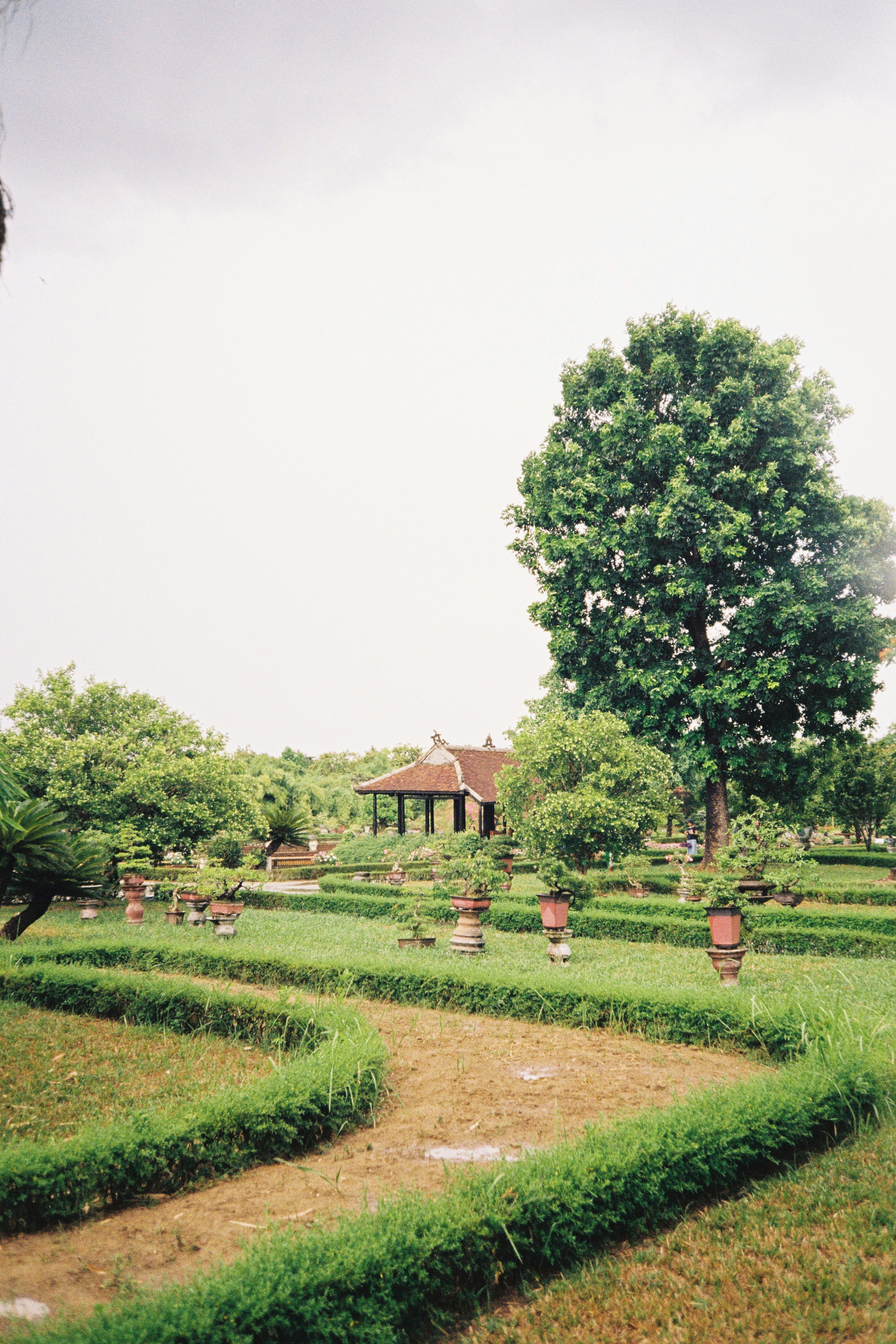 Serene Garden Pavilion Amid Pruned Green Corridors