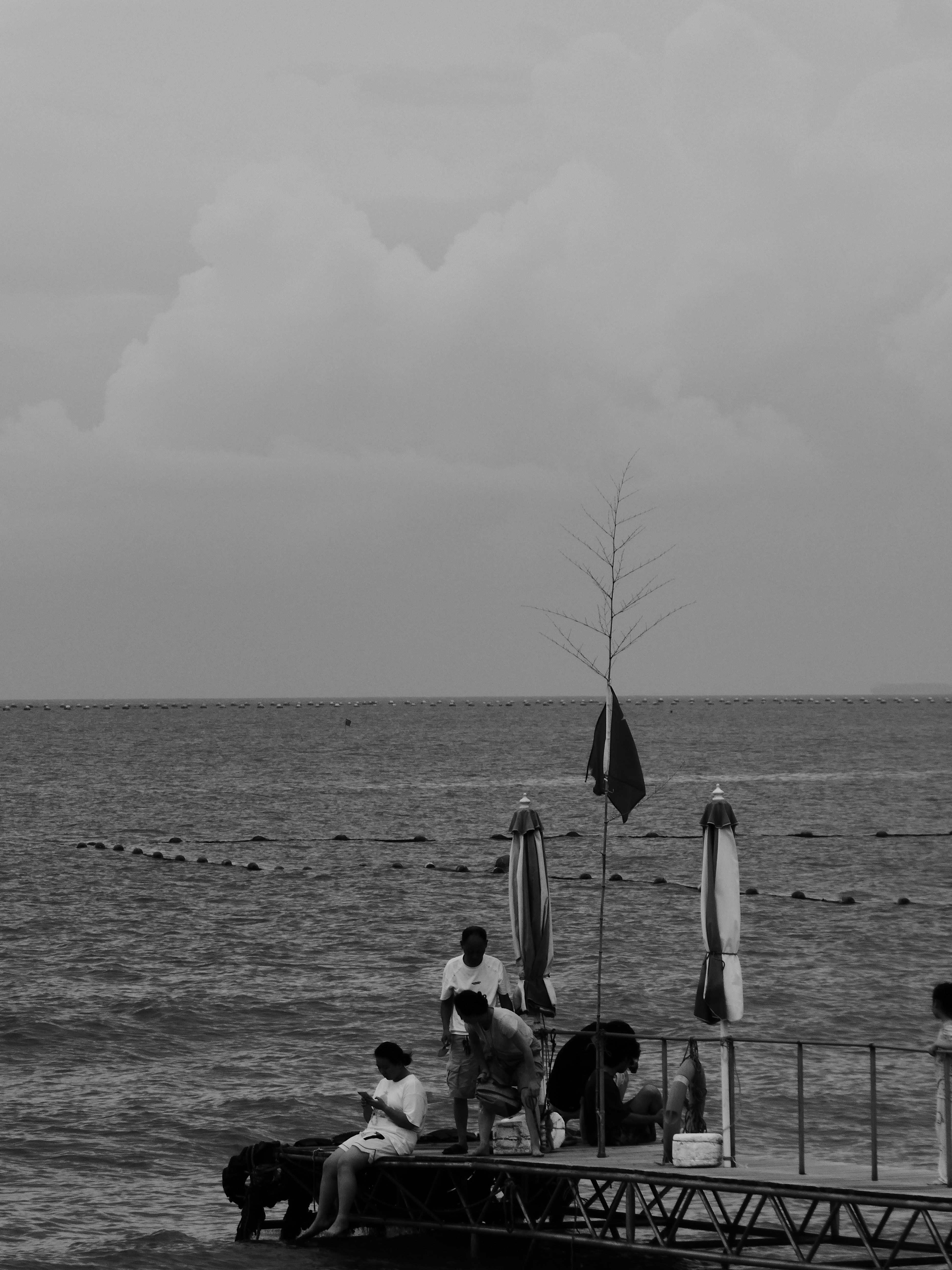 Silent Pier at Dusk: A Lone Tree Reaches Toward a Clouded Horizon