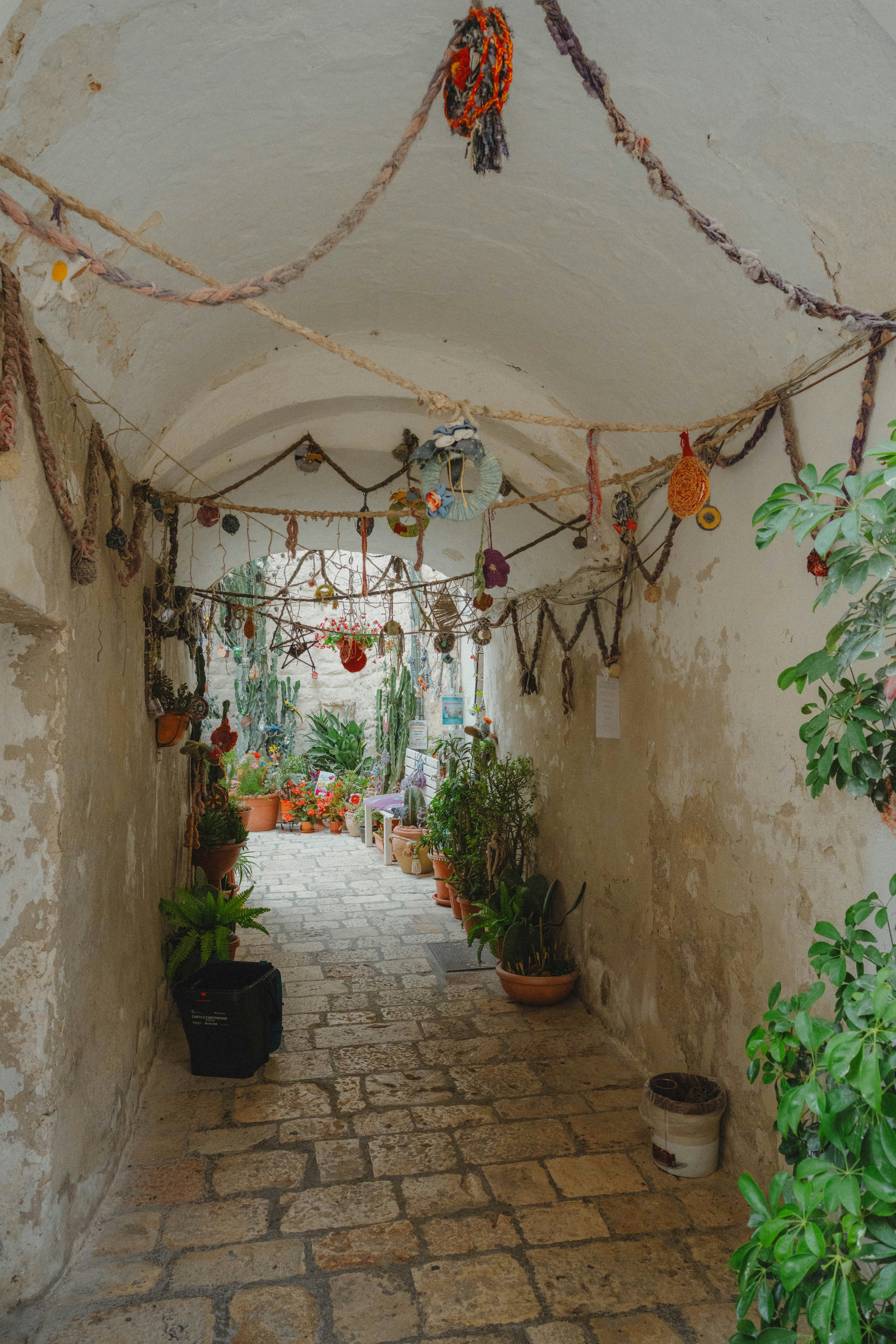 Sunlit Alleyway of Potted Greenery and Woven Ornaments