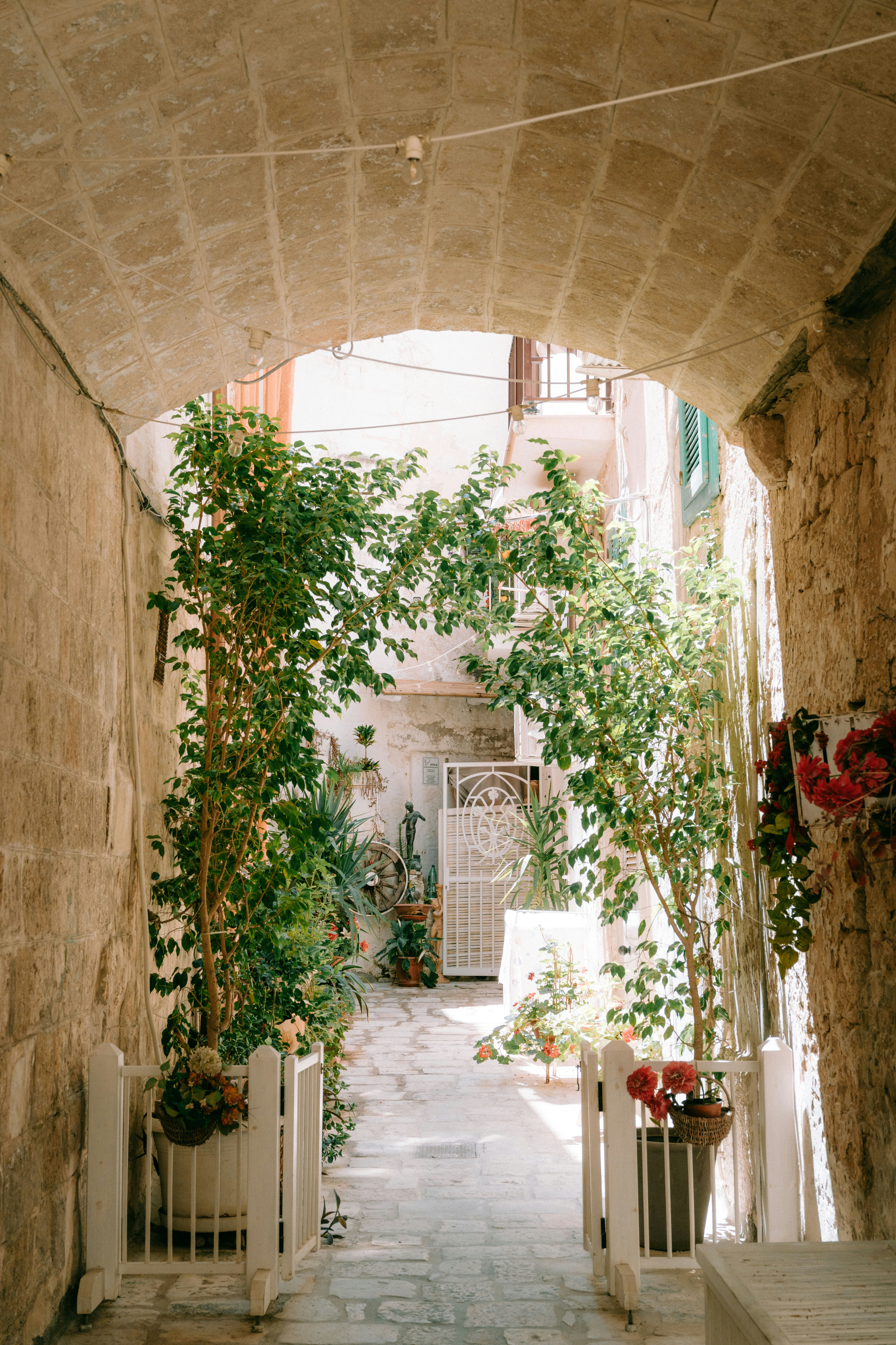 Sunlit Archway Garden Corridor