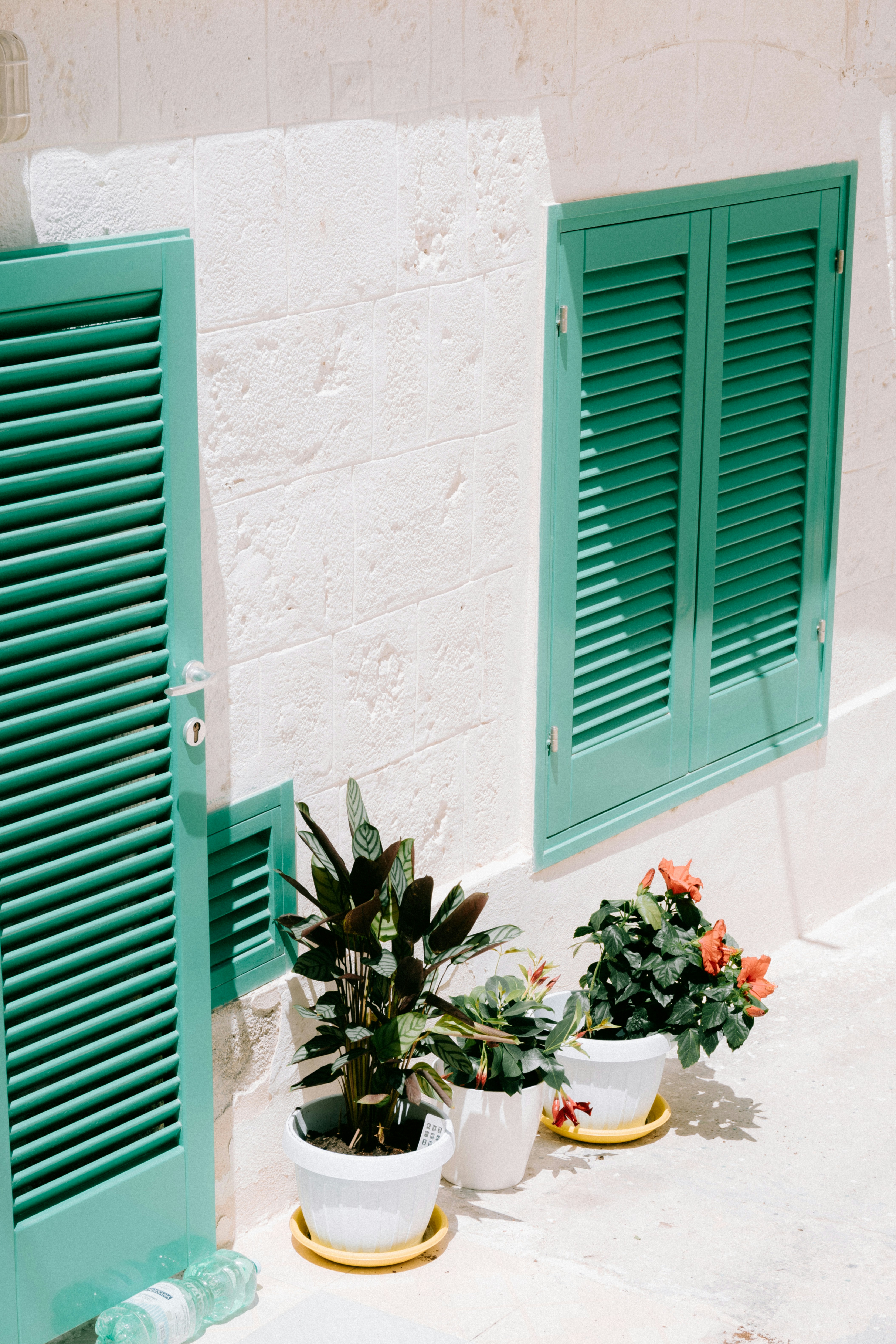 Turquoise Shutters and Potted Greens on a Sunlit Wall