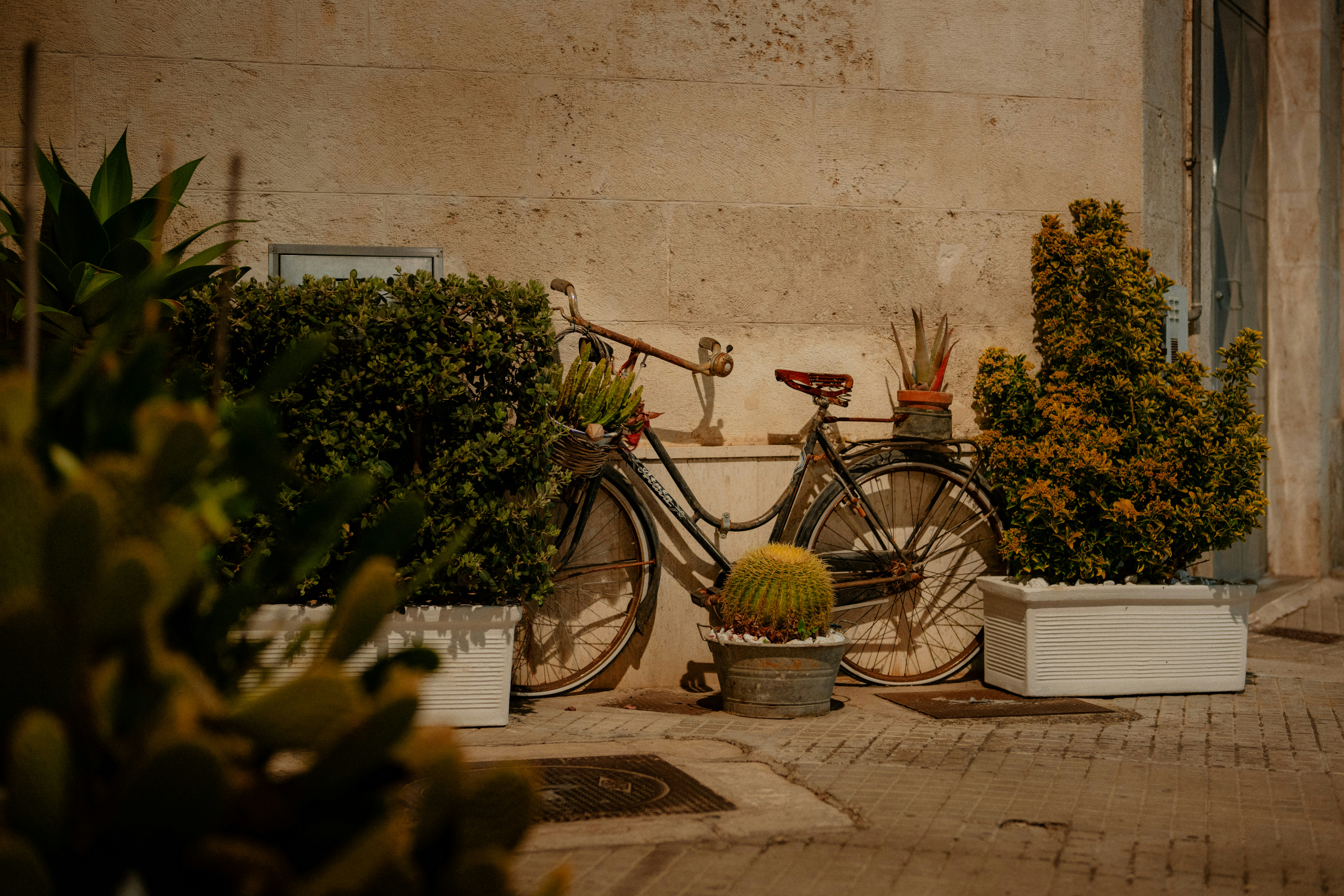 Dusty bicycle with potted plants as urban still life