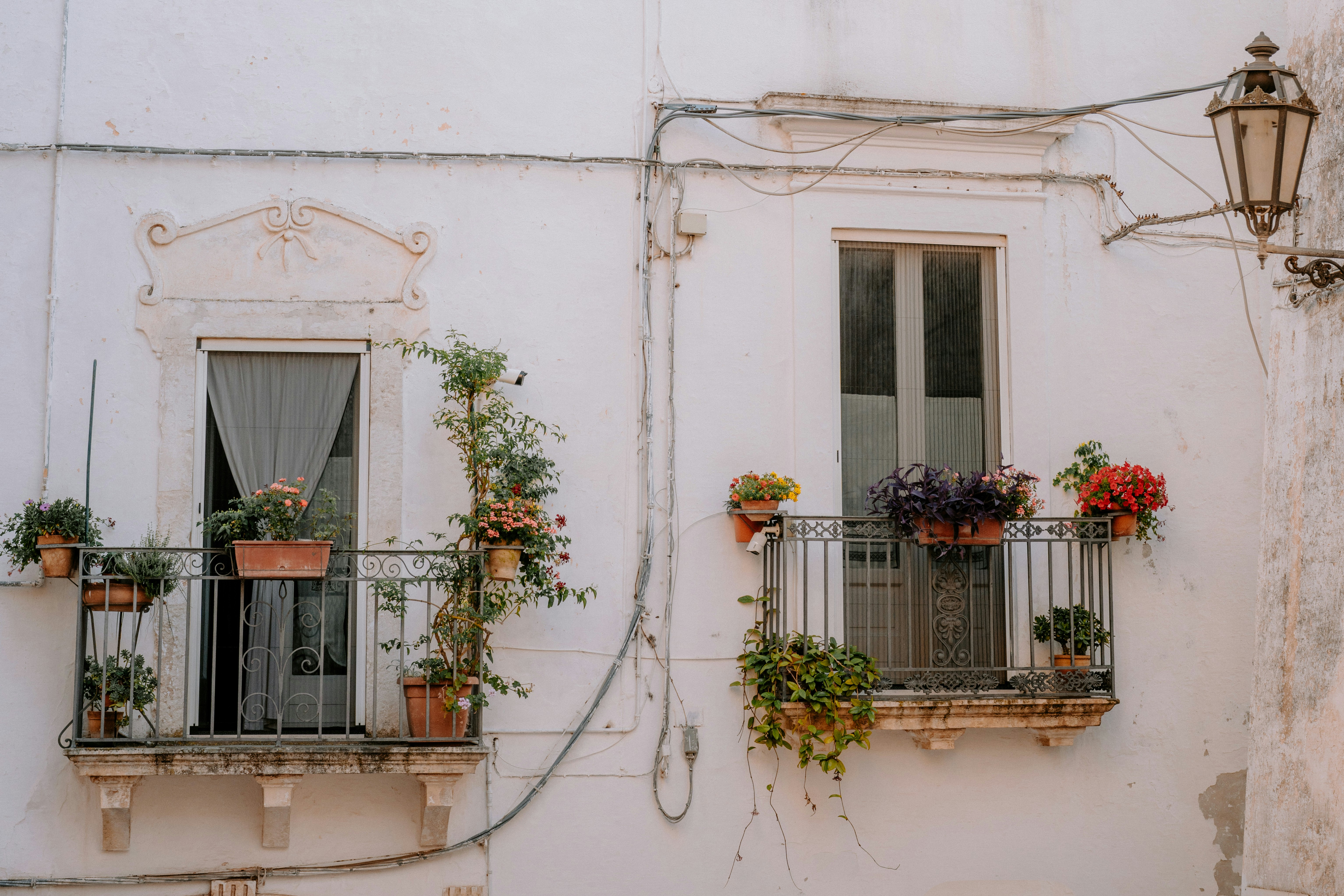 Balconies in bloom: a sunlit courtyard’s quiet charm