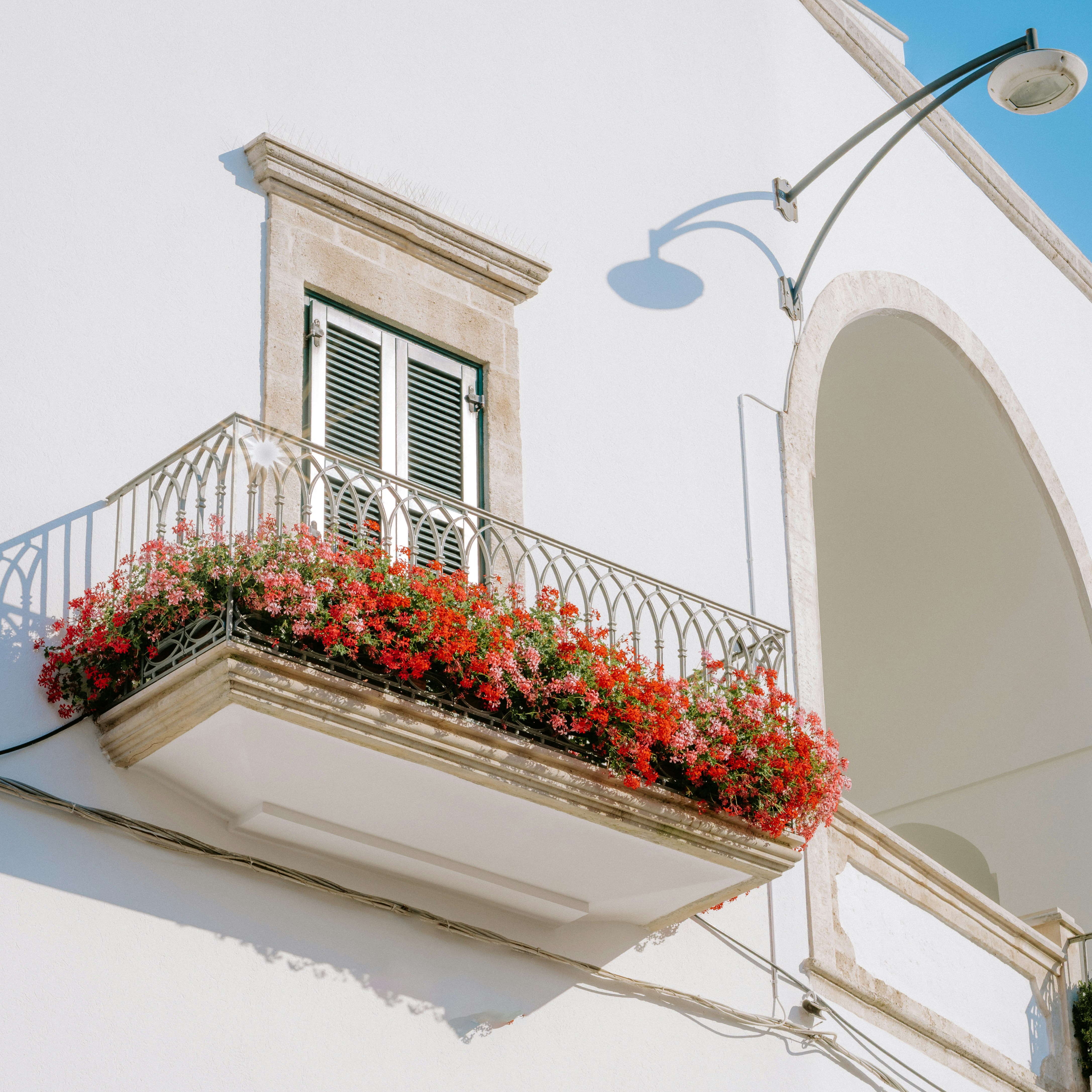 Sunlit Balcony of Crimson Blooms over a White Archway