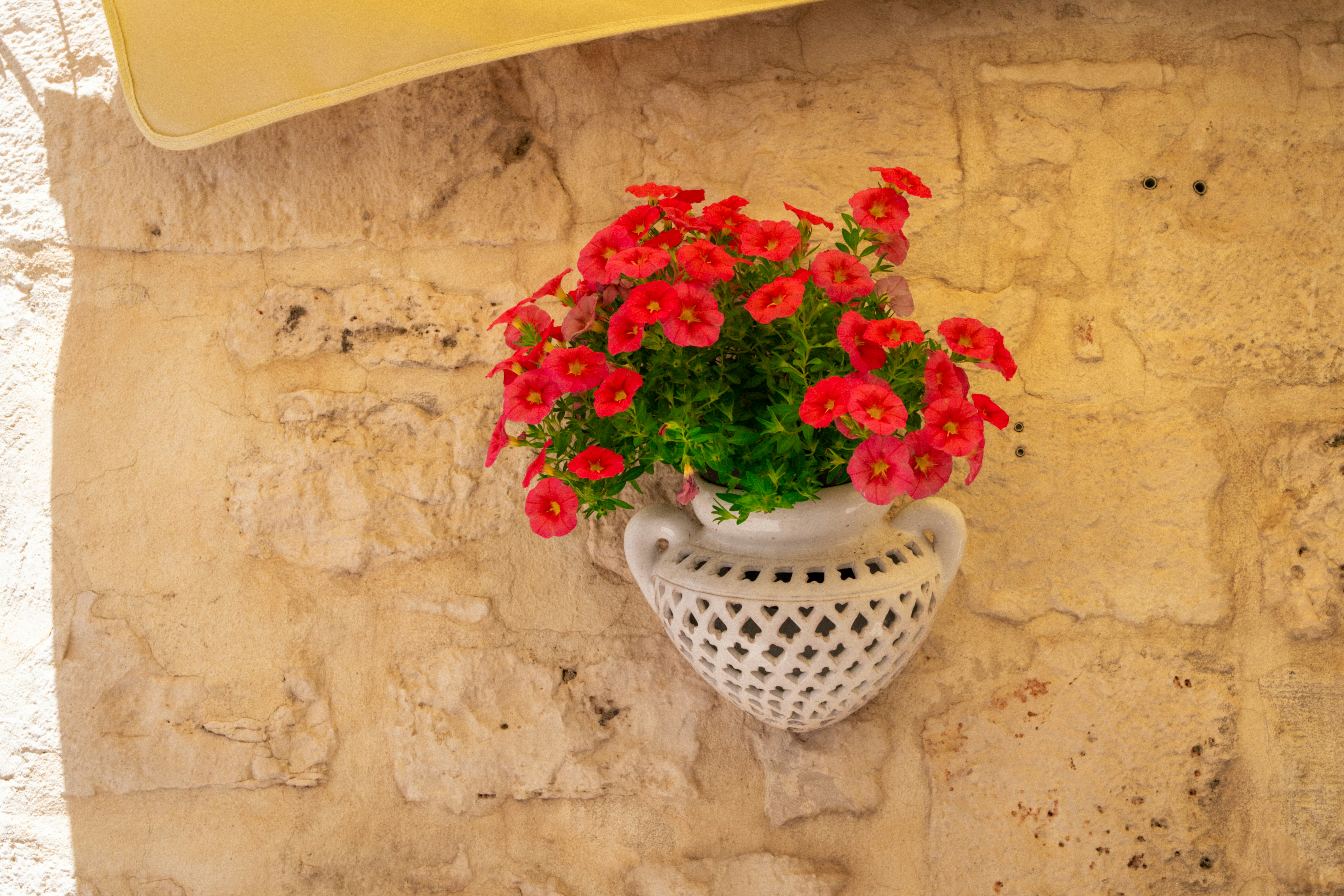 Red Reservoir: A Basket of Crimson Flowers Adorning a Sunlit Stone Wall