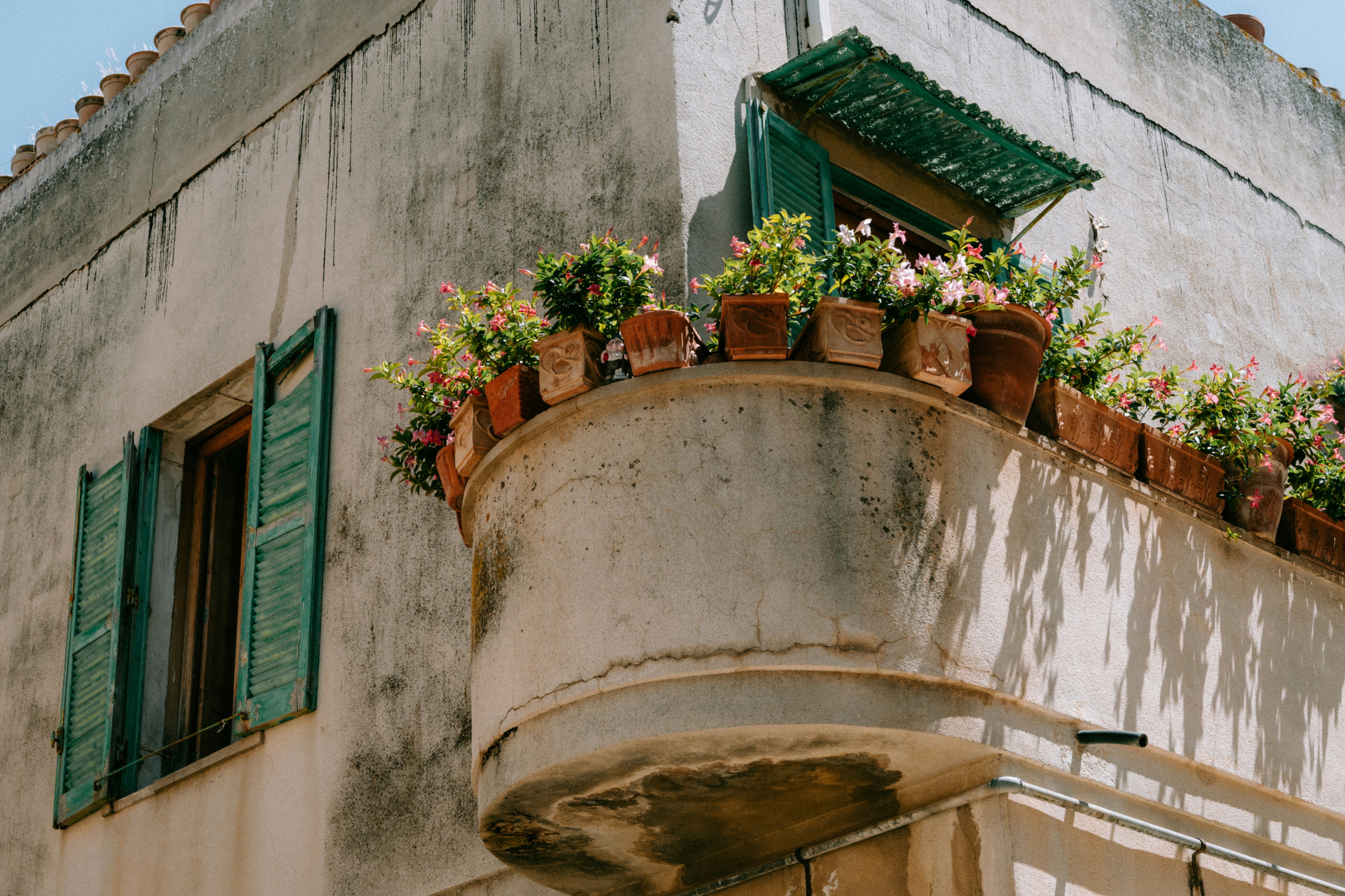 Balcony of Color: Pots and Plants Over a Weathered Arc
