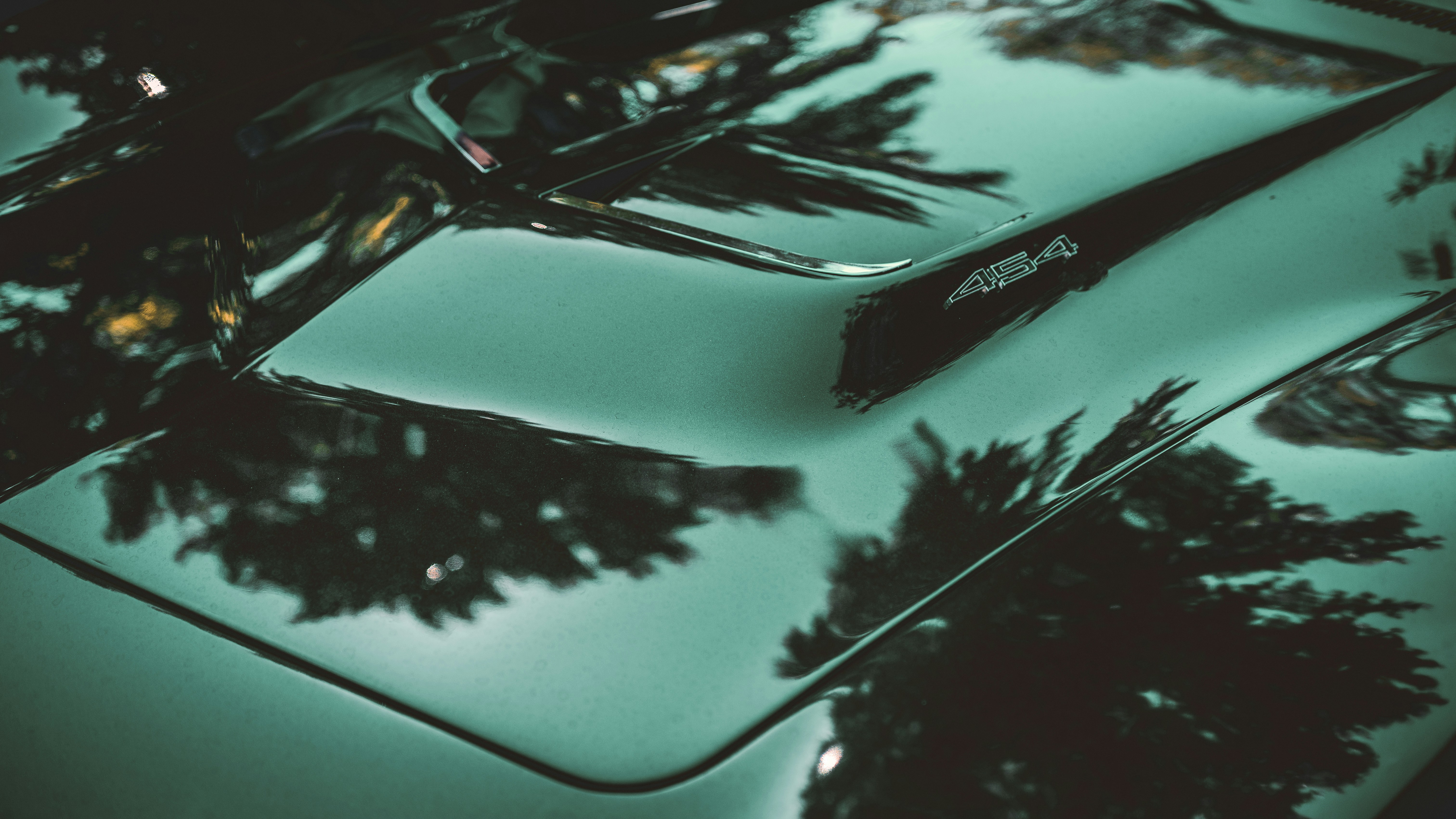 Chrome Ribbon: Reflections on a Quiet Hood