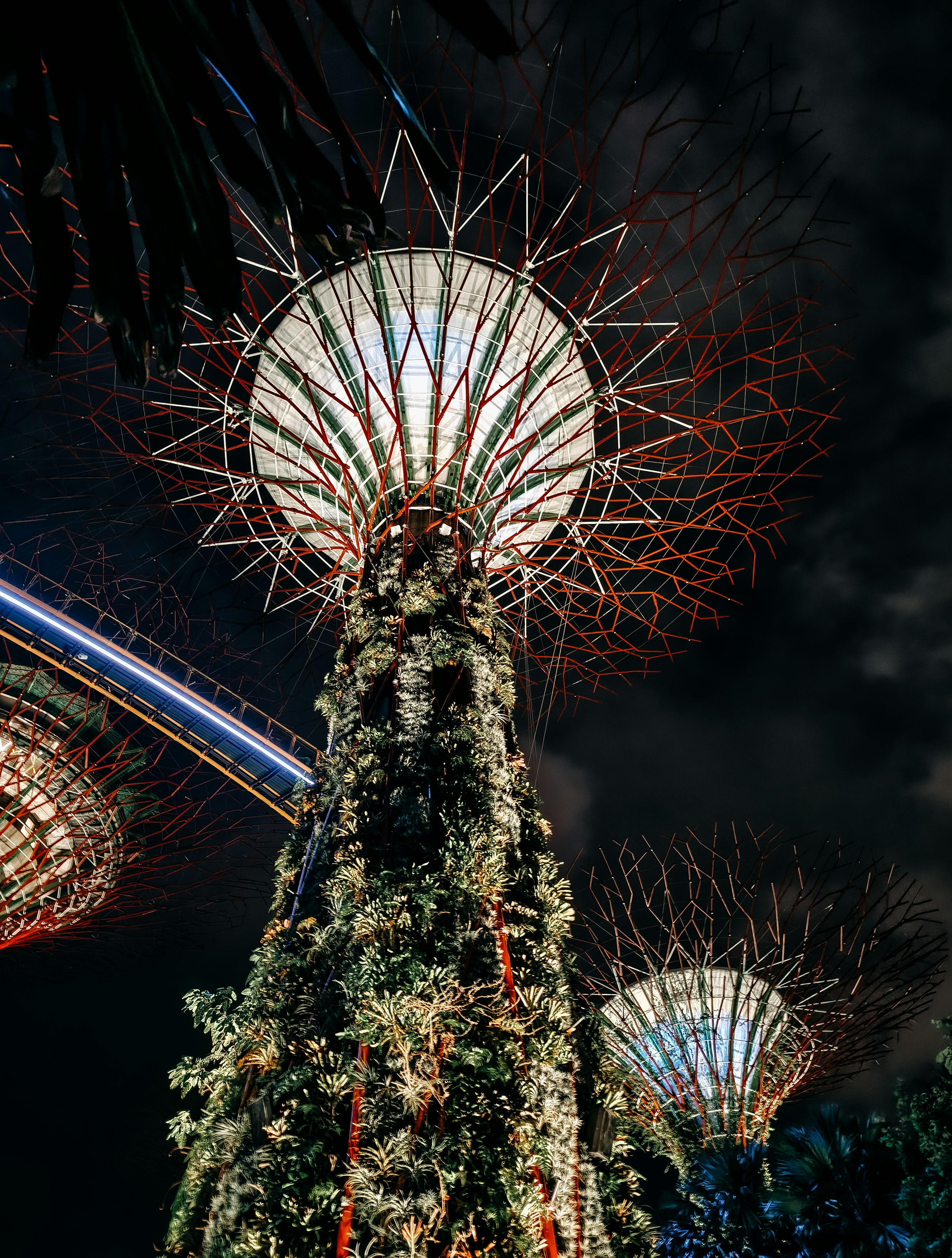 Night Bloom: Vertical Towers of Light at an Urban Forest